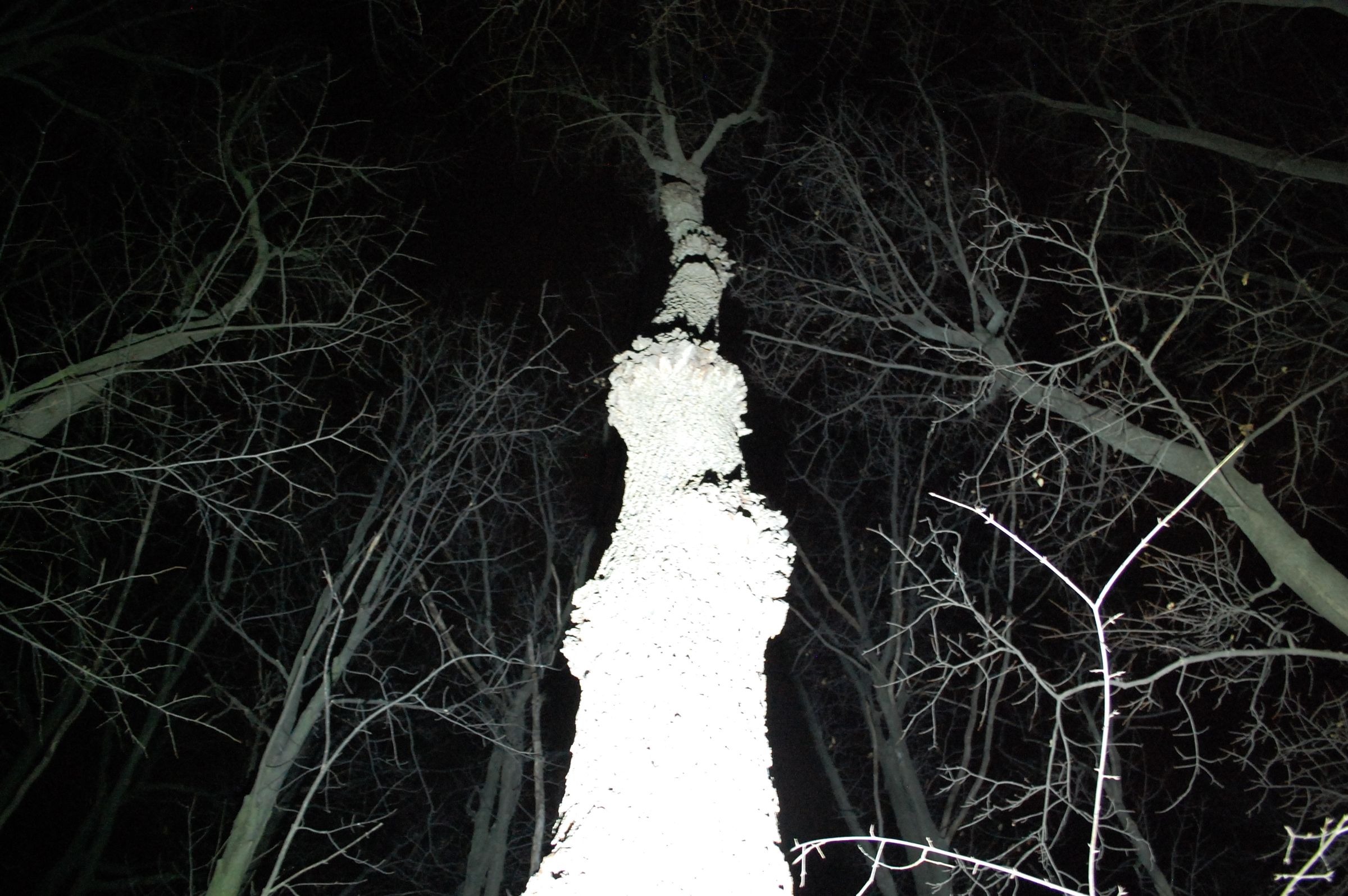 How to Build an Insanely Bright LED Flashlight! : 8 Steps (with ...