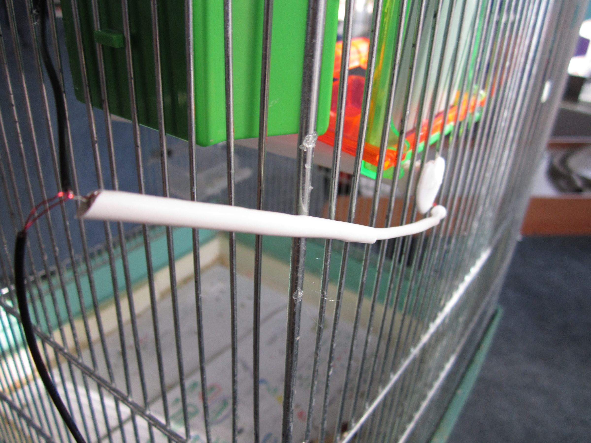 LED Color Changing Bird Toy! : 8 Steps - Instructables