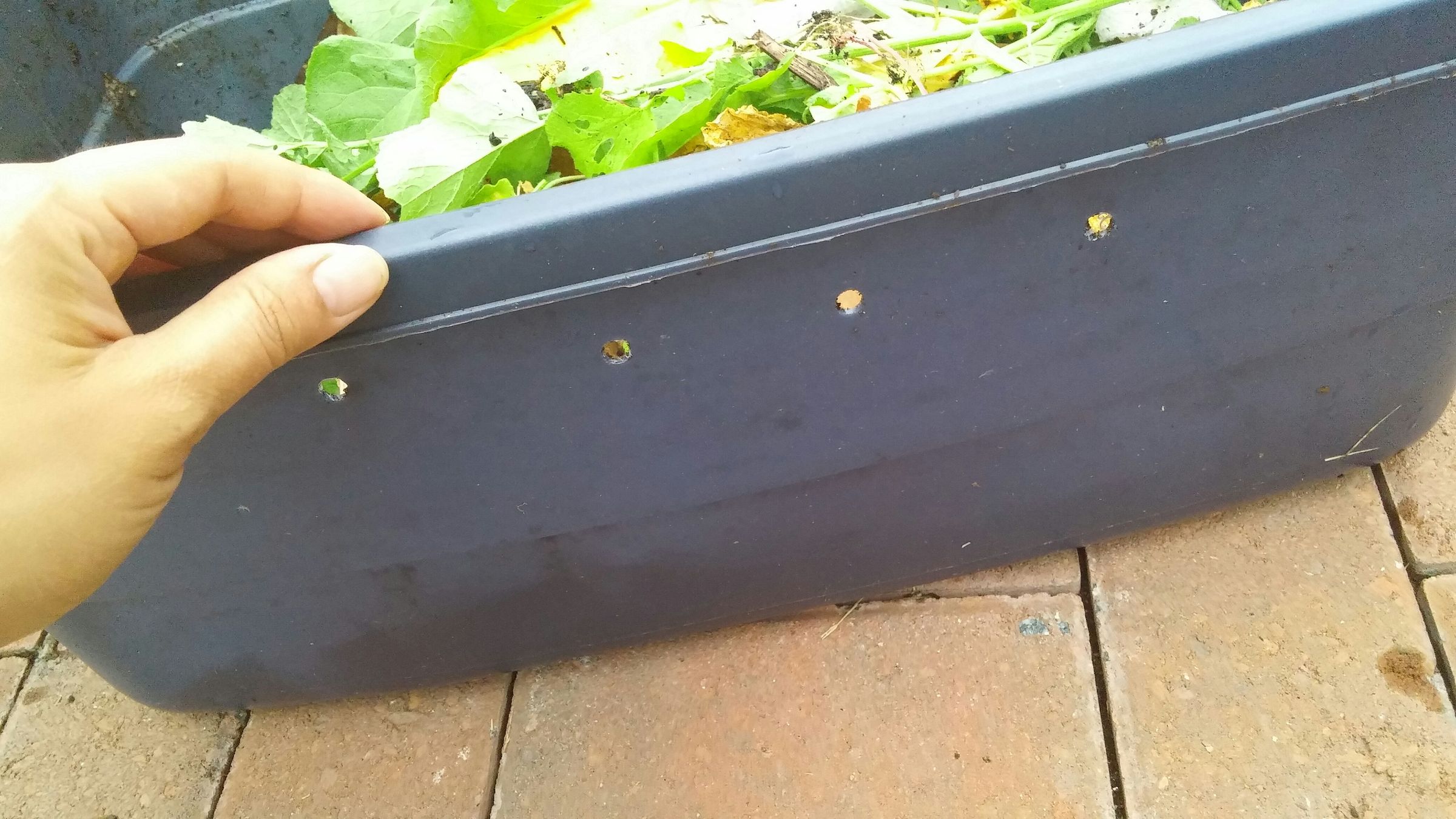 5 Minute, 5 Dollar Worm Farm : 5 Steps (with Pictures) - Instructables