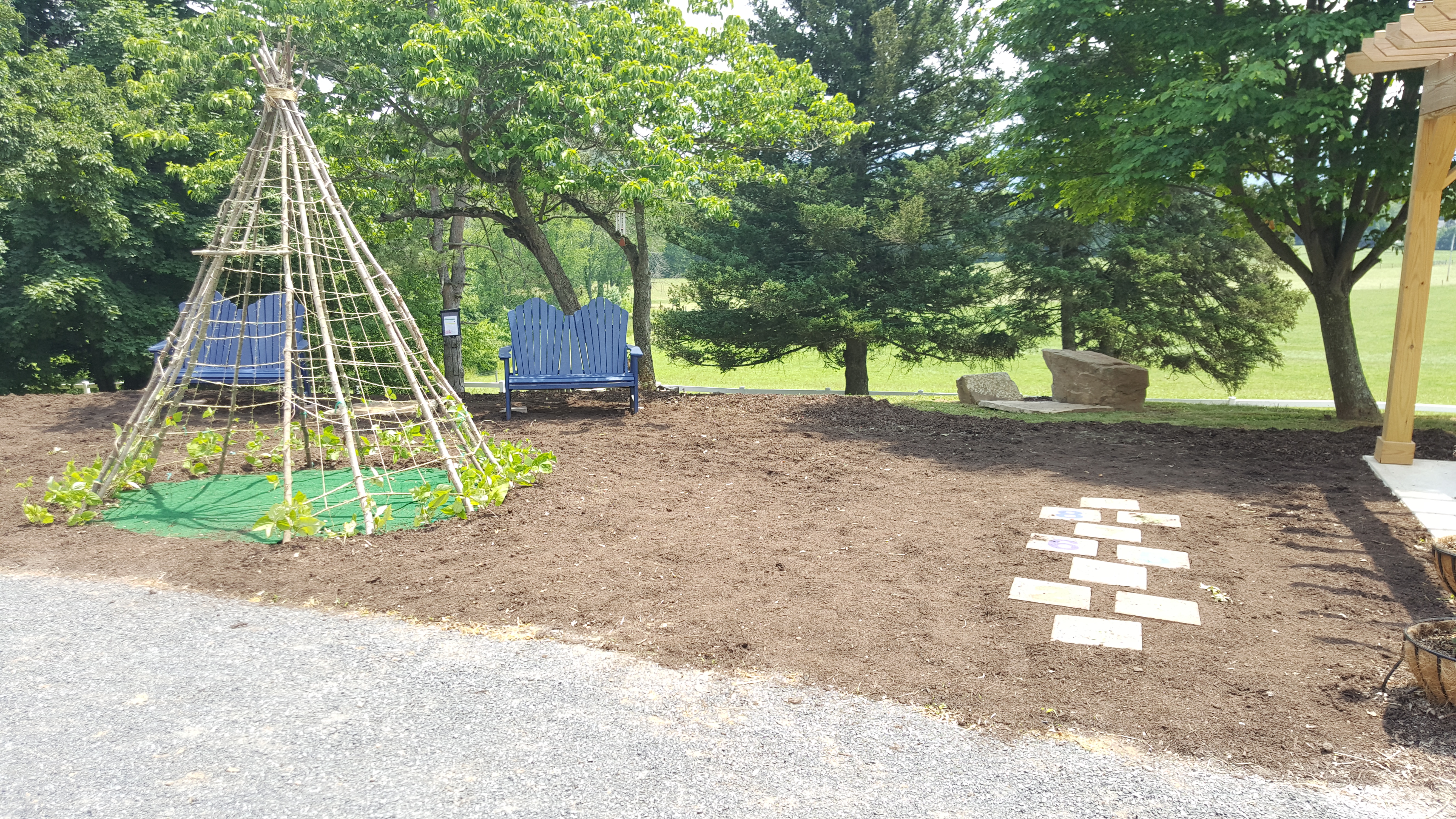 Pipe Trellis : 10 Steps (with Pictures) - Instructables