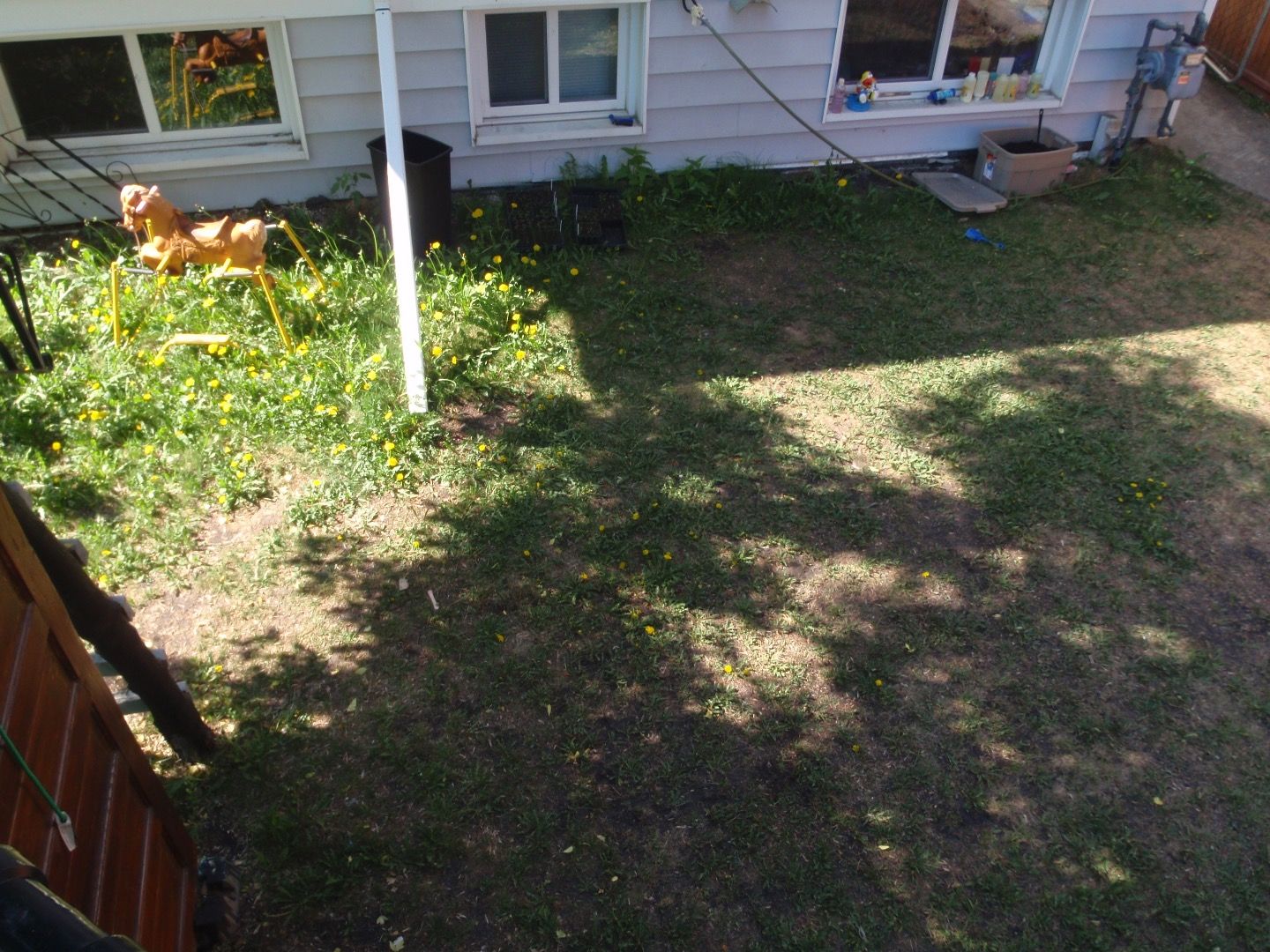 Restore a Backyard With Dead Soil (Before and After) : 9 Steps (with ...