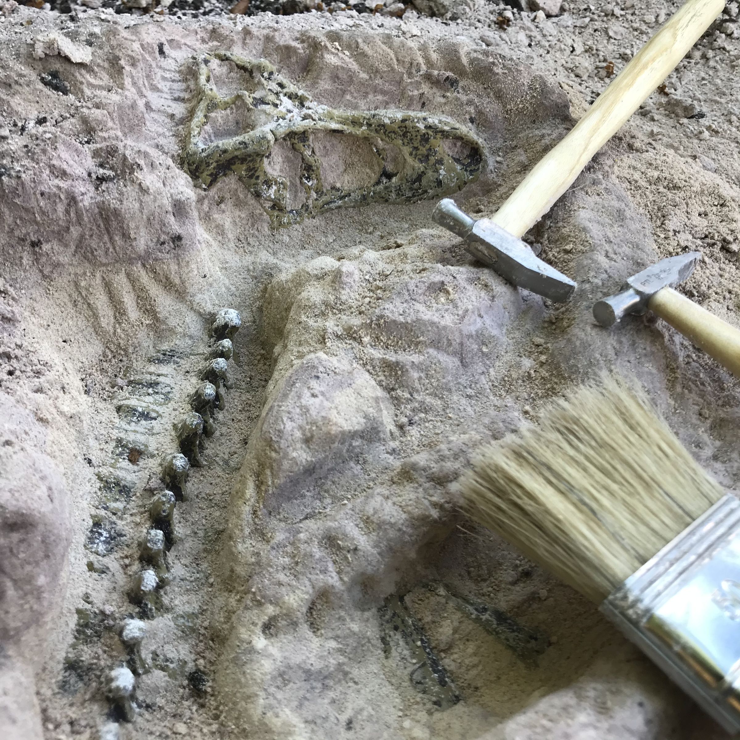 HUGE Homemade Dinosaur Excavation Dig : 5 Steps - Instructables