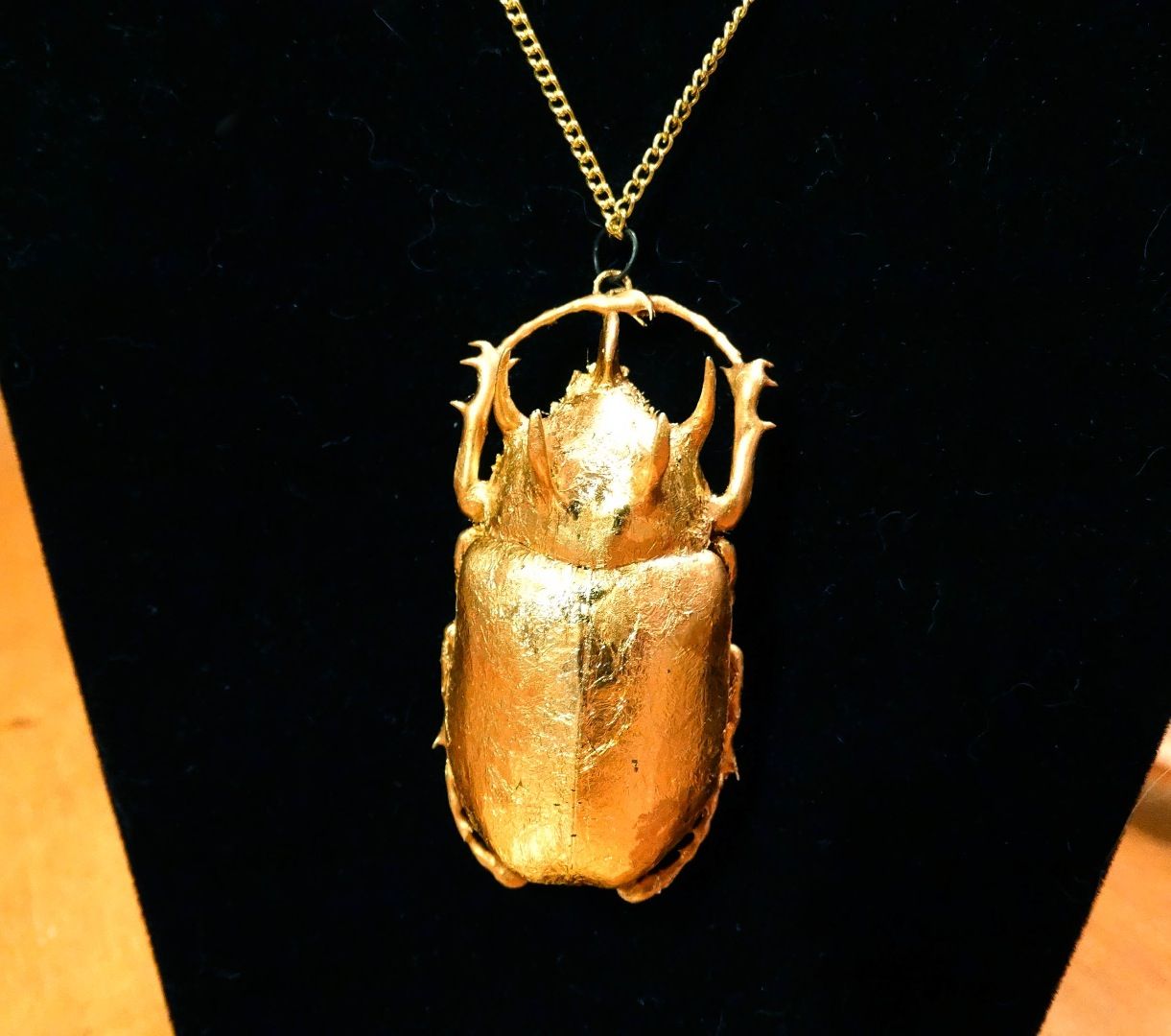 Preparing and Gilding a Real Insect : 10 Steps (with Pictures ...