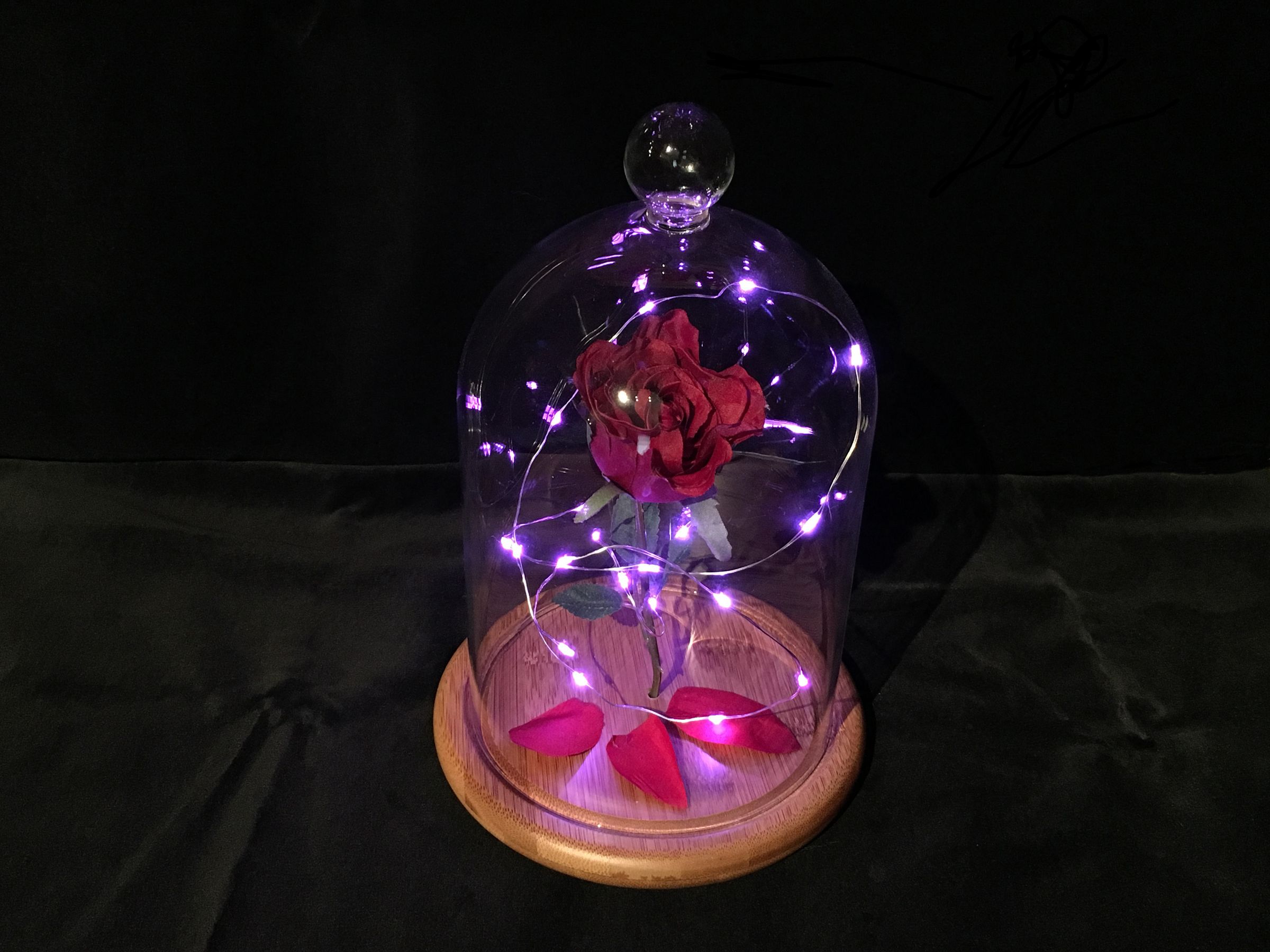 Enchanted Rose - Beauty and the Beast : 6 Steps (with Pictures ...