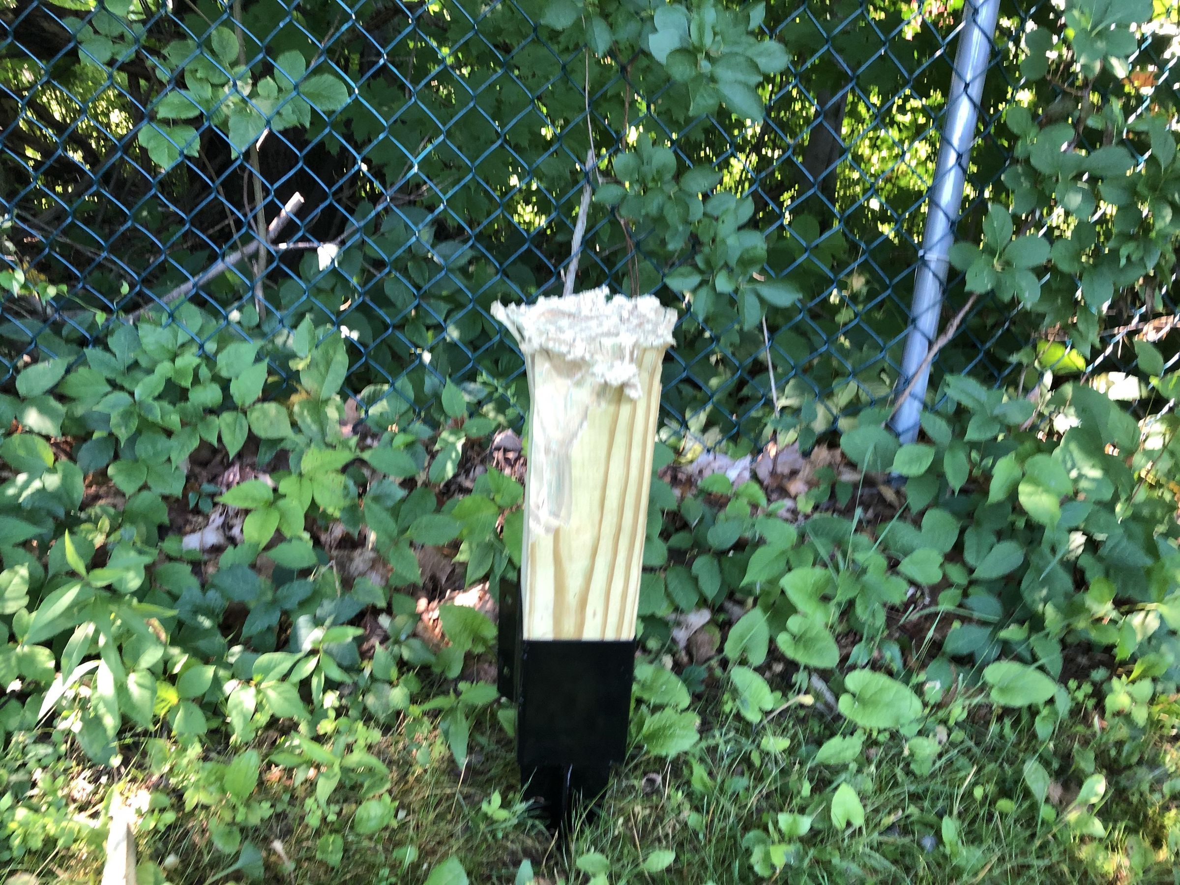 Library Story Stroll (Also Called Storywalk®) : 9 Steps (with Pictures ...