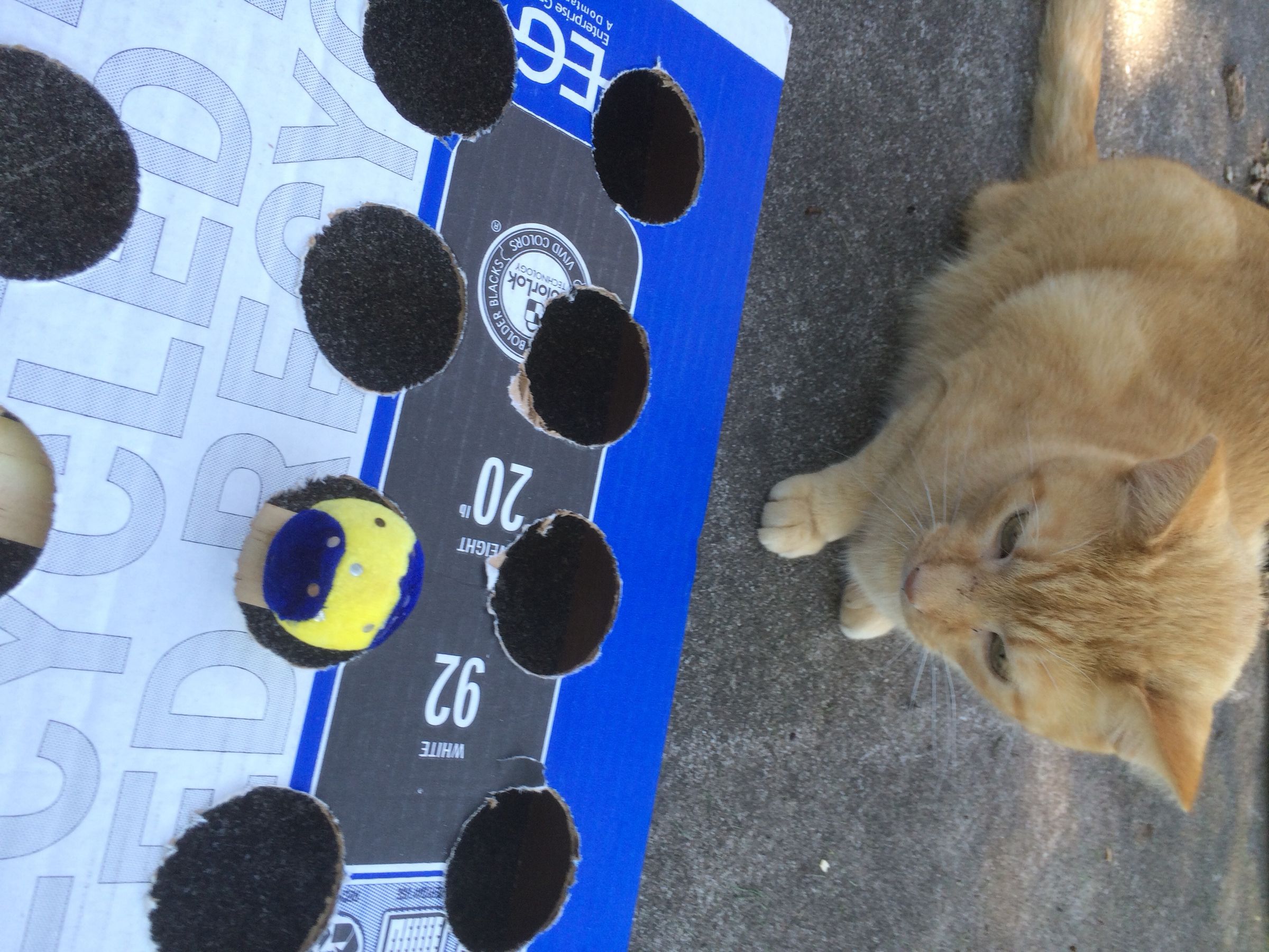 Whack-A-Mouse : 8 Steps (with Pictures) - Instructables