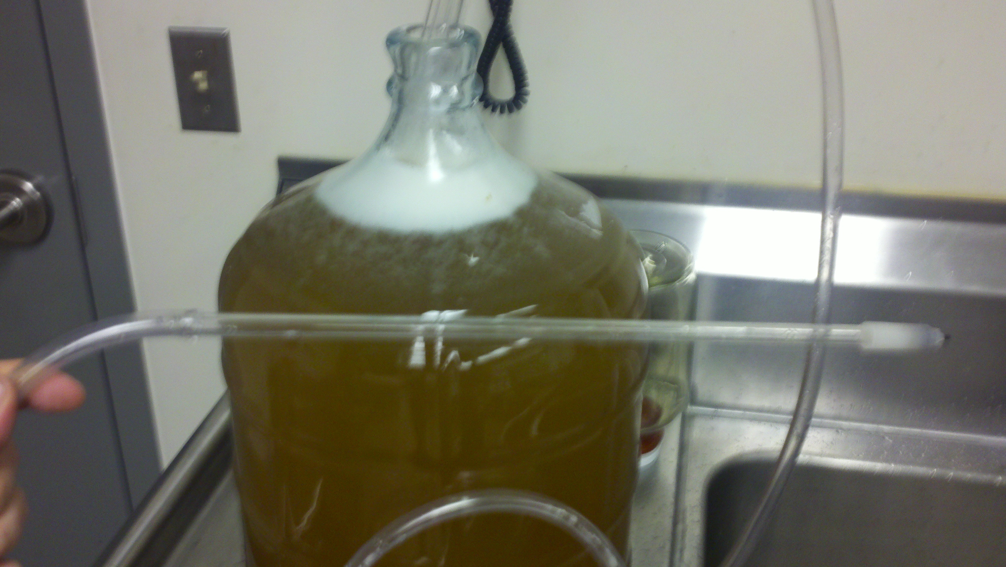 Easy Mead : 10 Steps (with Pictures) - Instructables