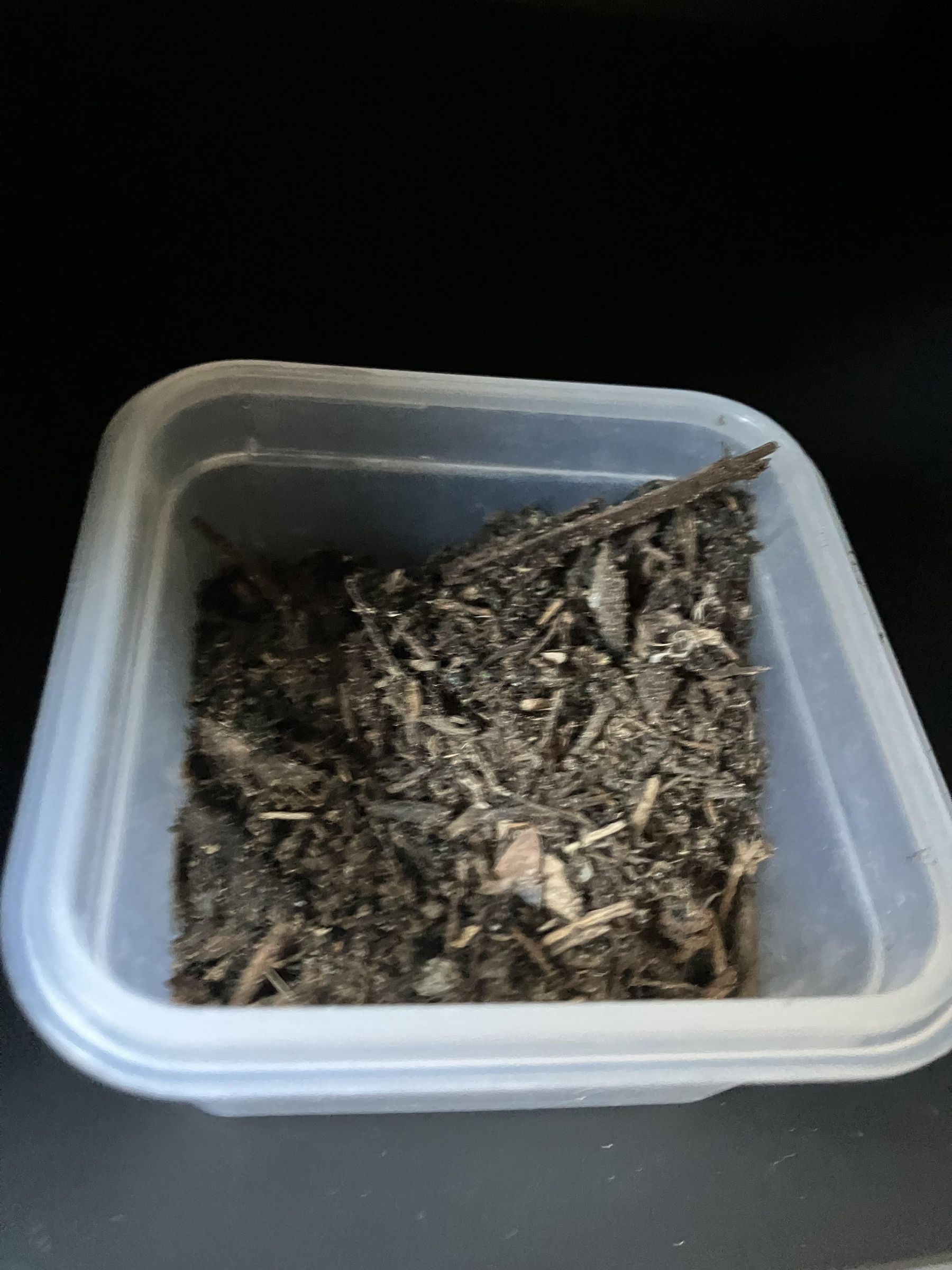 Repurpose an Old Jar Into a Miniature Ecosystem : 5 Steps - Instructables