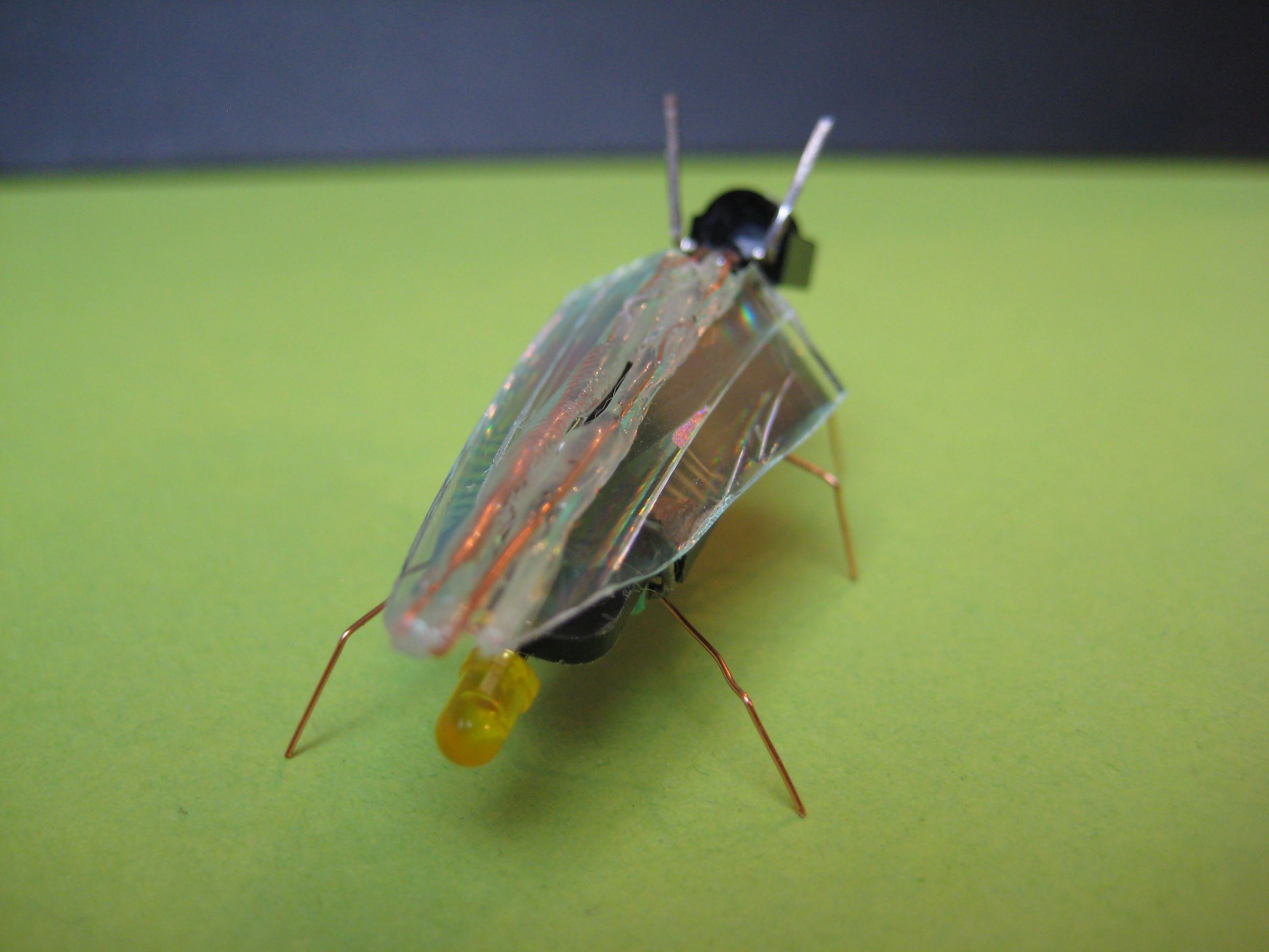 Computer Bugs - Additional Ideas, Tips & Tricks : 21 Steps (with Pictures) - Instructables