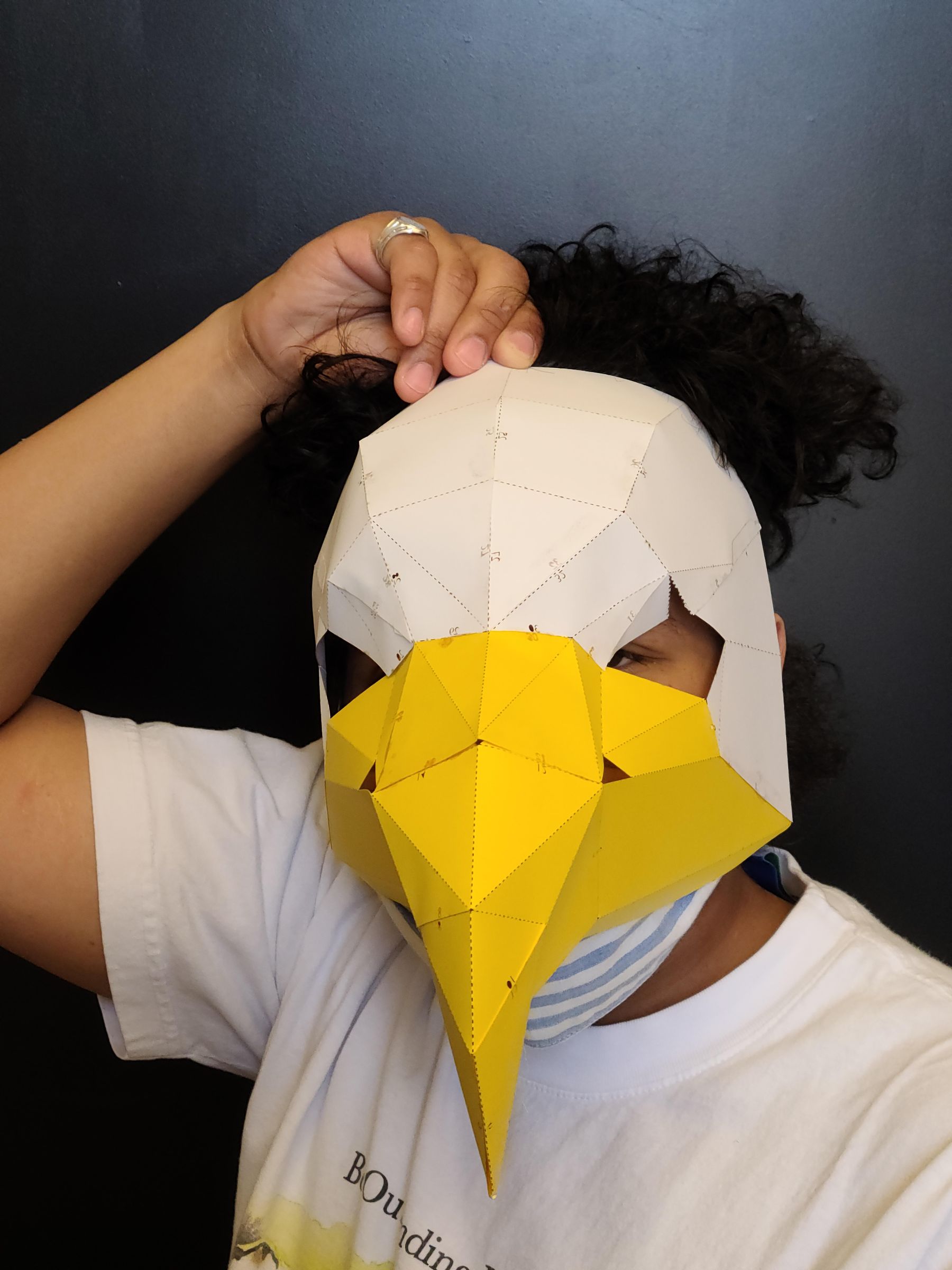 Cyborg Crafts: Sense Direction Like a Bird: Sensory Extension Mask : 8 ...