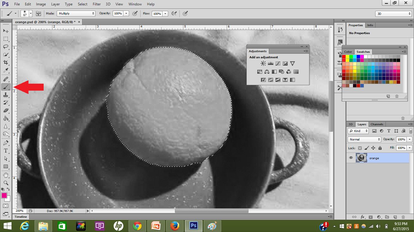 How to Colorize a Black and White Photo With Adobe Photoshop CS6 : 21 ...