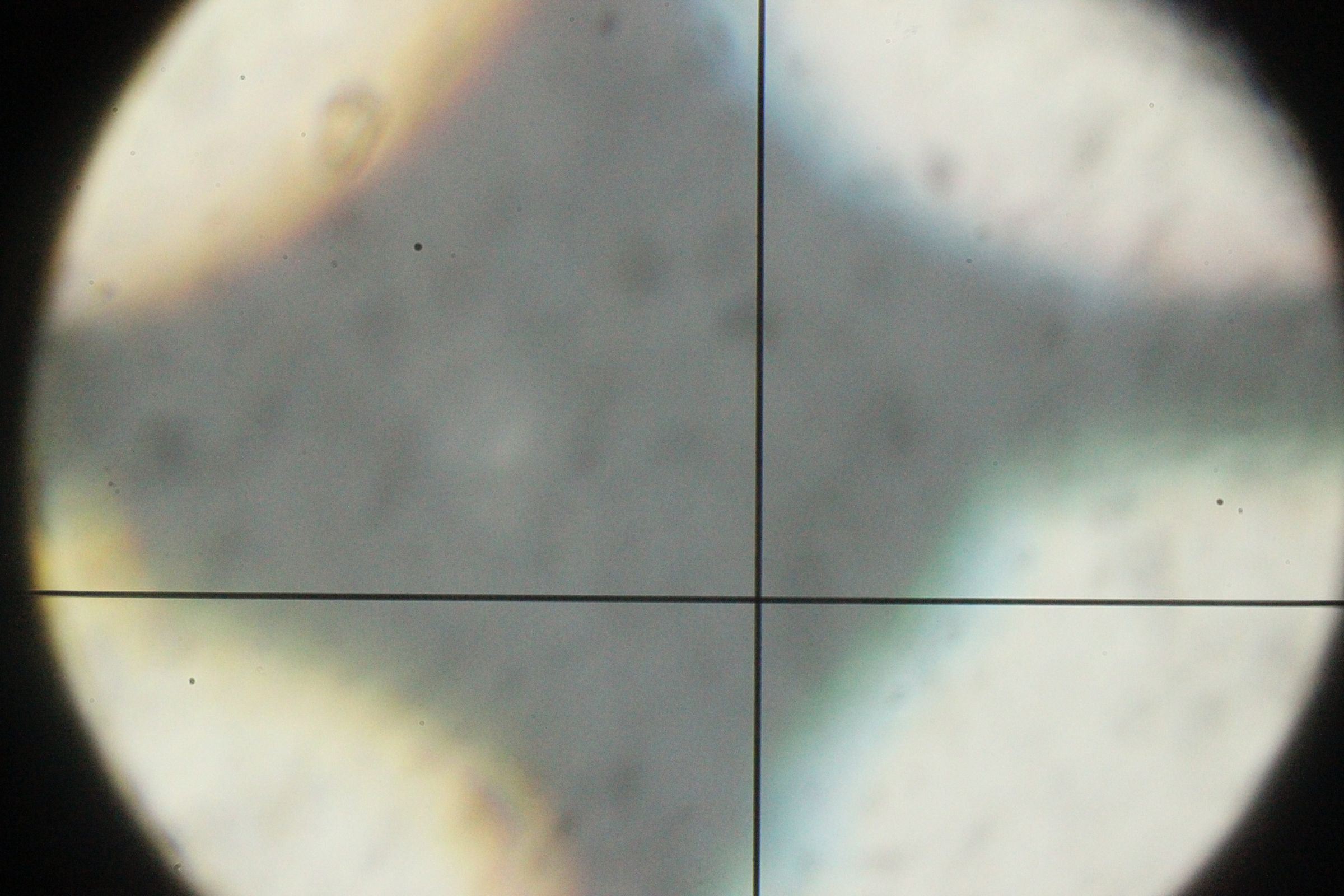Kitchen Table Binocular Collimation : 6 Steps (with Pictures ...