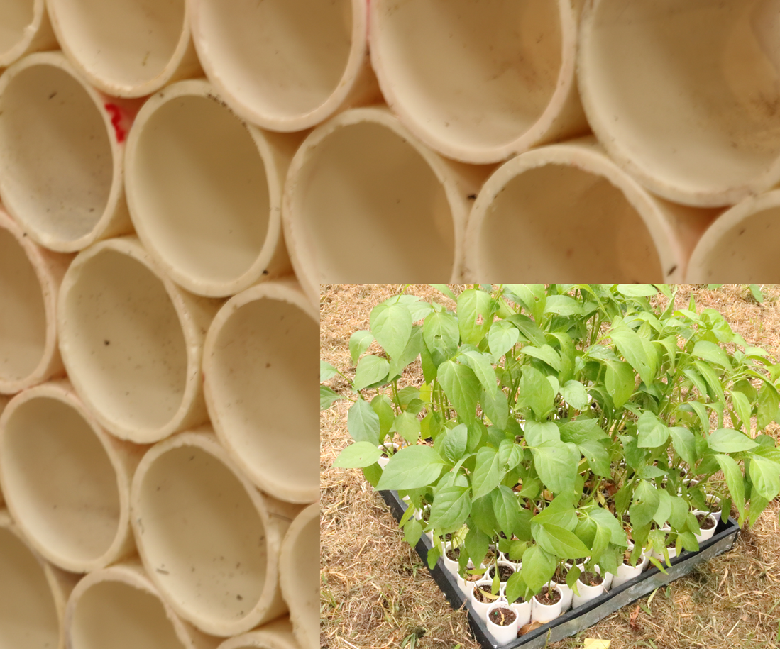 Honeycomb PVC Planters : 8 Steps (with Pictures) - Instructables