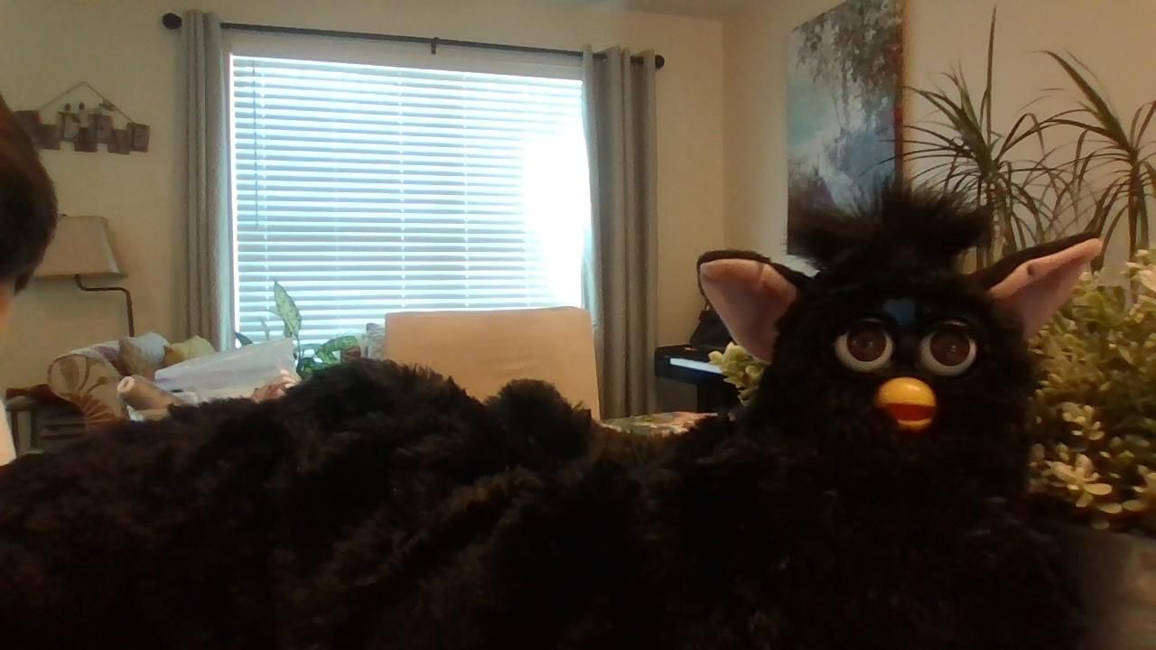 How to Make a Long Furby : 4 Steps - Instructables
