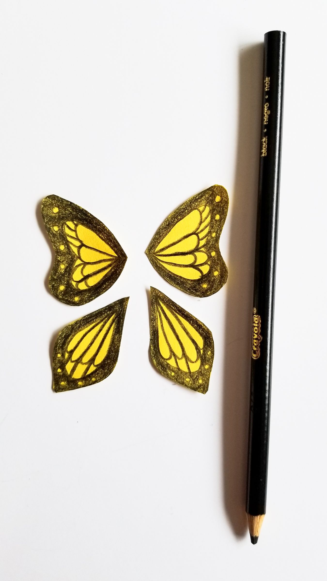 Wind-Up Paper ButterFLY : 10 Steps (with Pictures) - Instructables