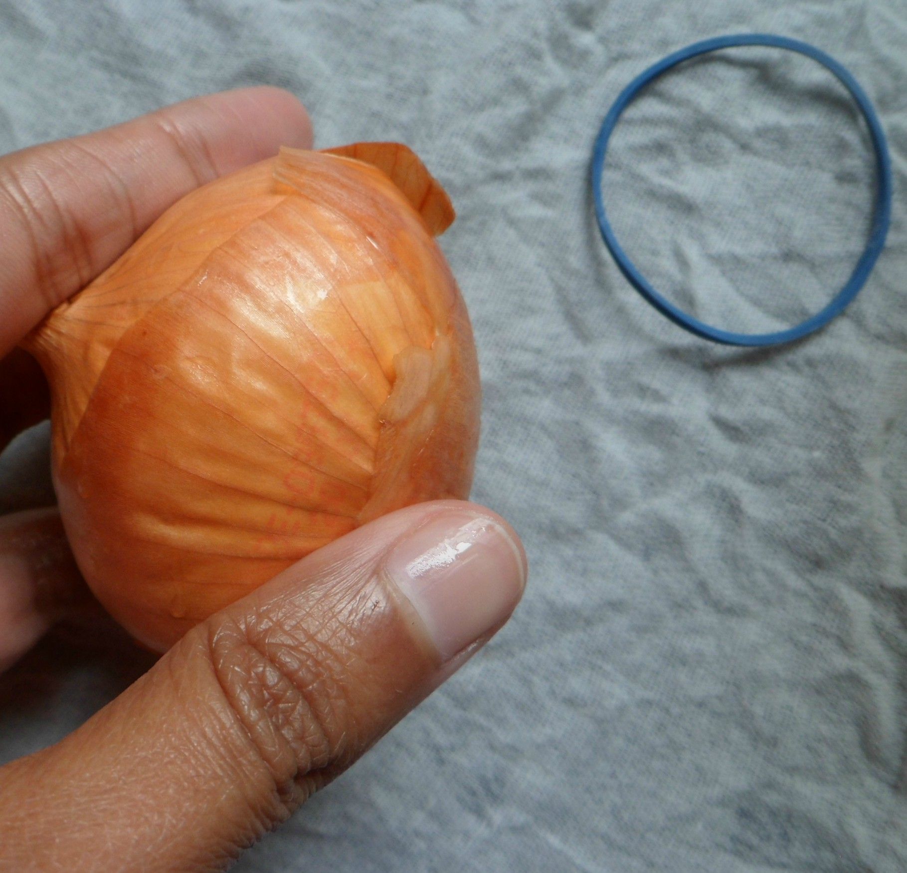 Unusual Uses of Onions : 18 Steps (with Pictures) - Instructables