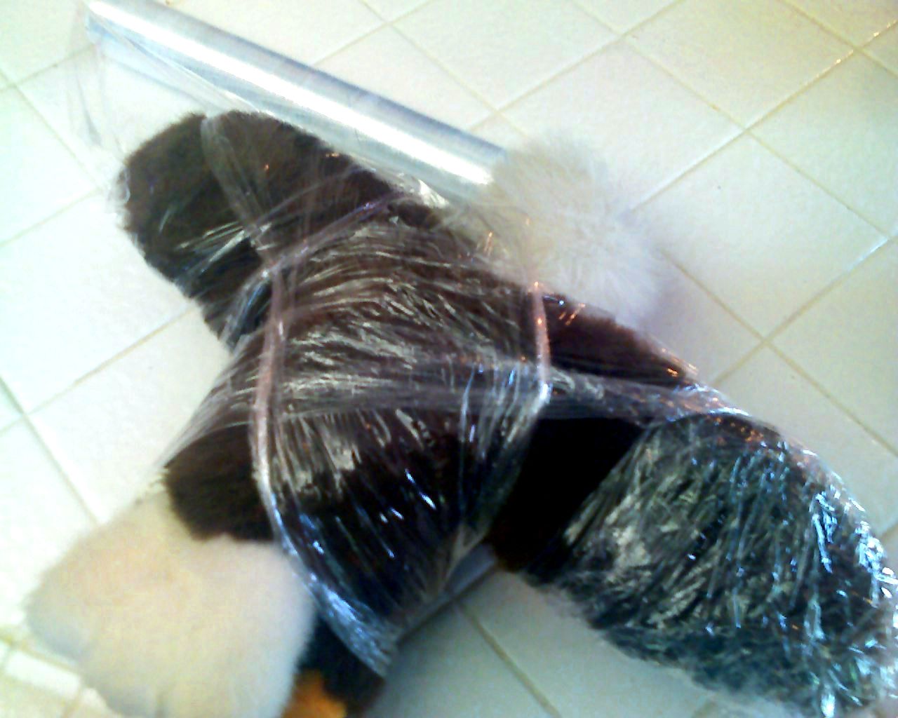 Plastic Wrap Sculptures! : 6 Steps (with Pictures) - Instructables