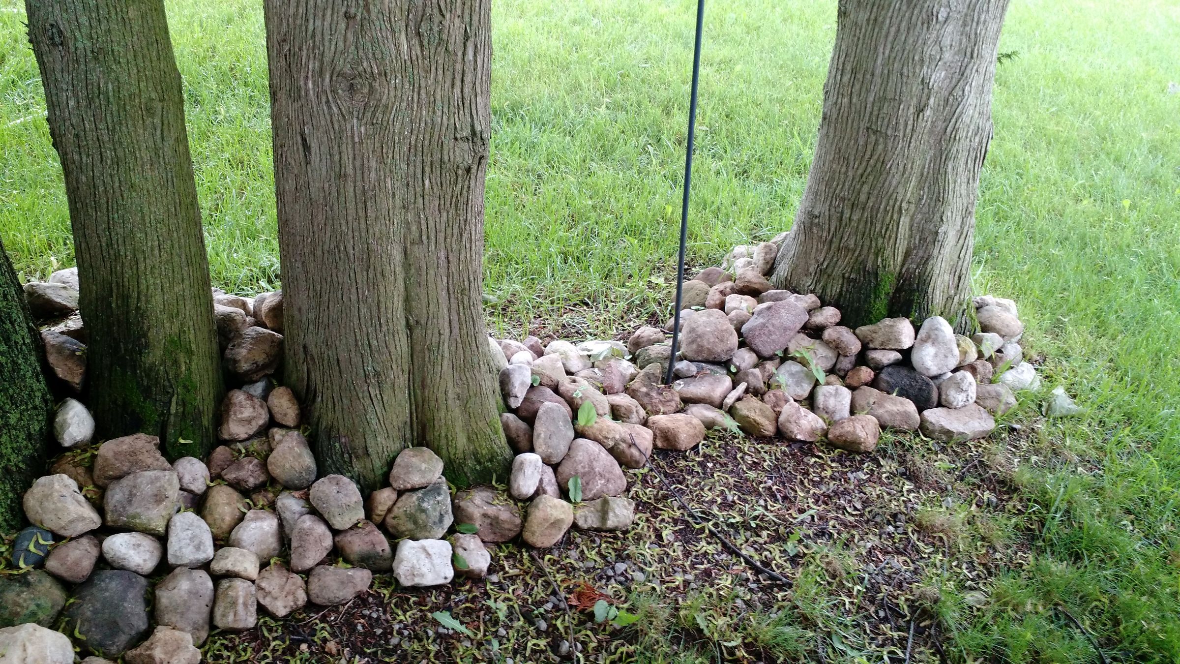 Repurpose Your Rocks! : 3 Steps - Instructables
