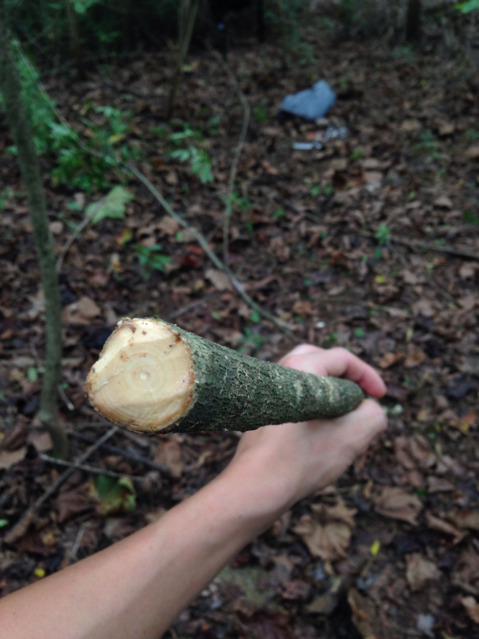 Two-Pronged Hunting Spear : 5 Steps (with Pictures) - Instructables