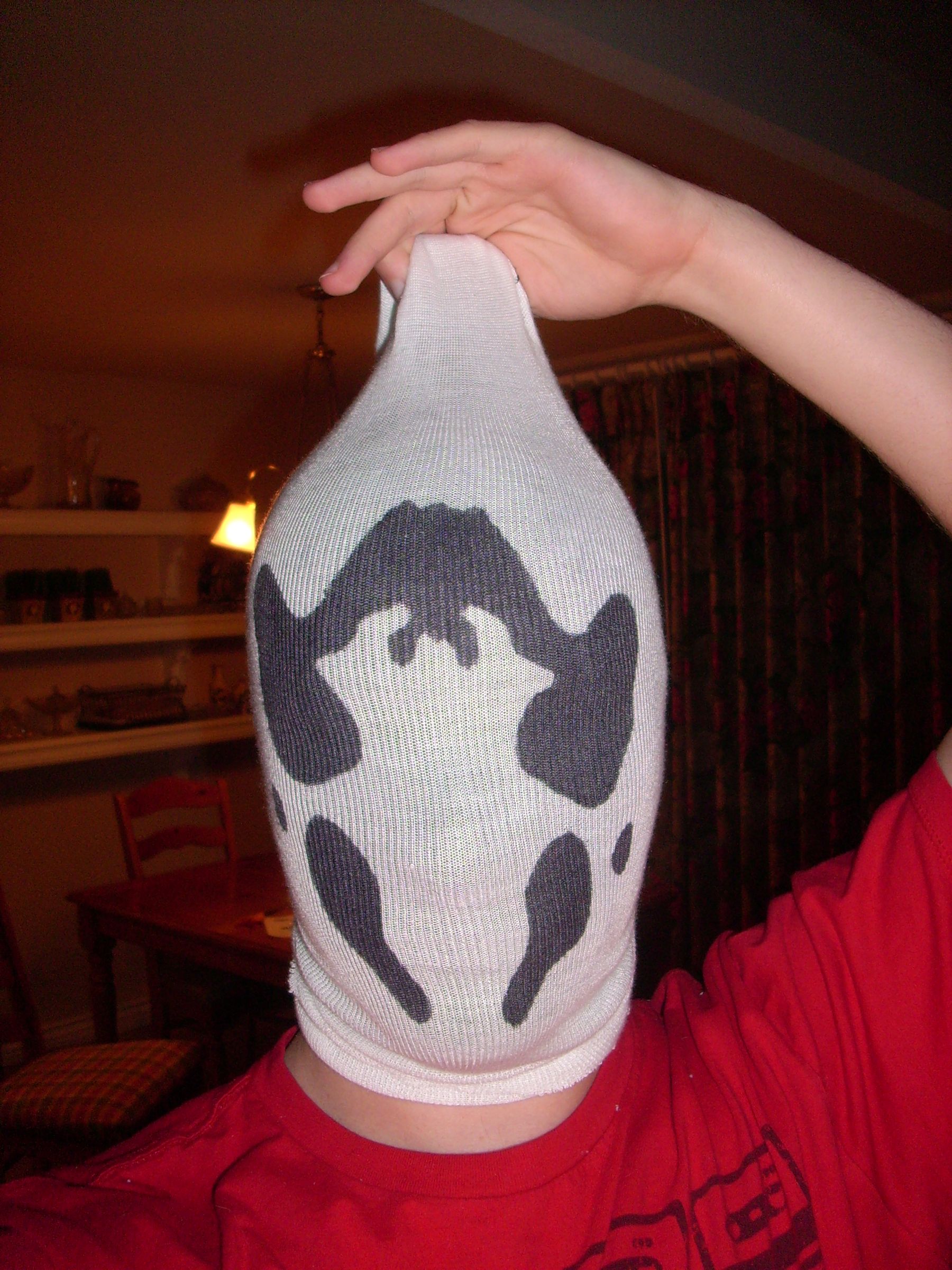 How to Make a Rorschach Mask : 5 Steps (with Pictures) - Instructables