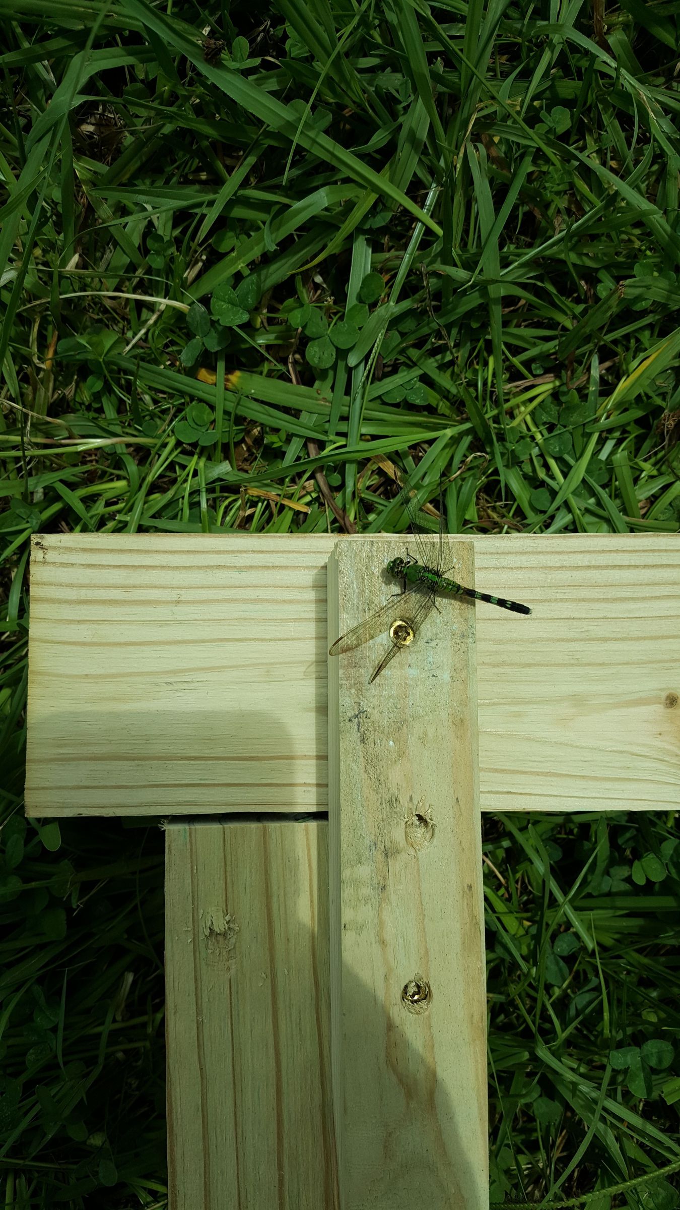 Reinforcing Heavy Frame Corners/Joints : 5 Steps (with Pictures ...