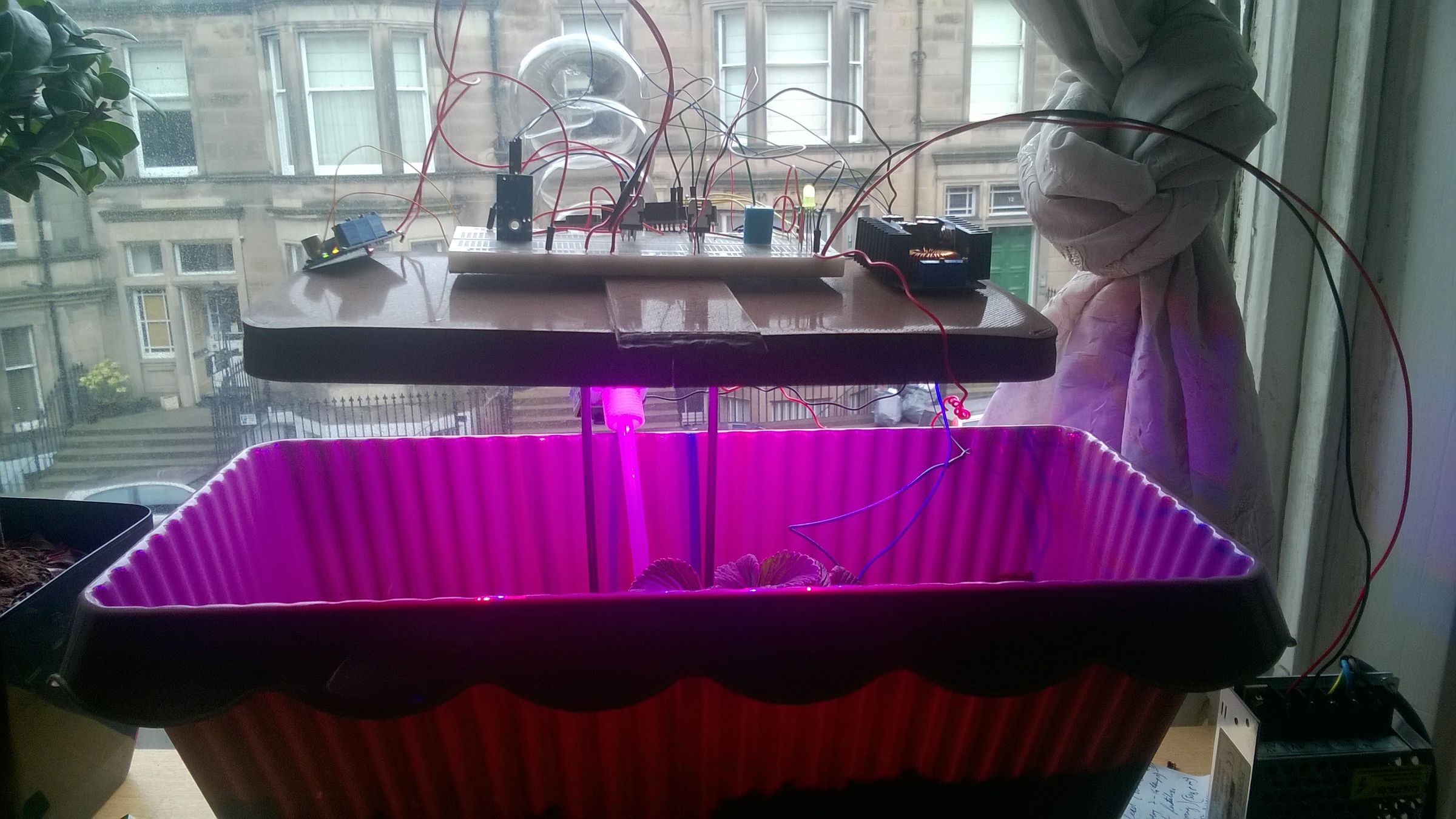 Automated Plants Watering and Lighting System : 7 Steps - Instructables