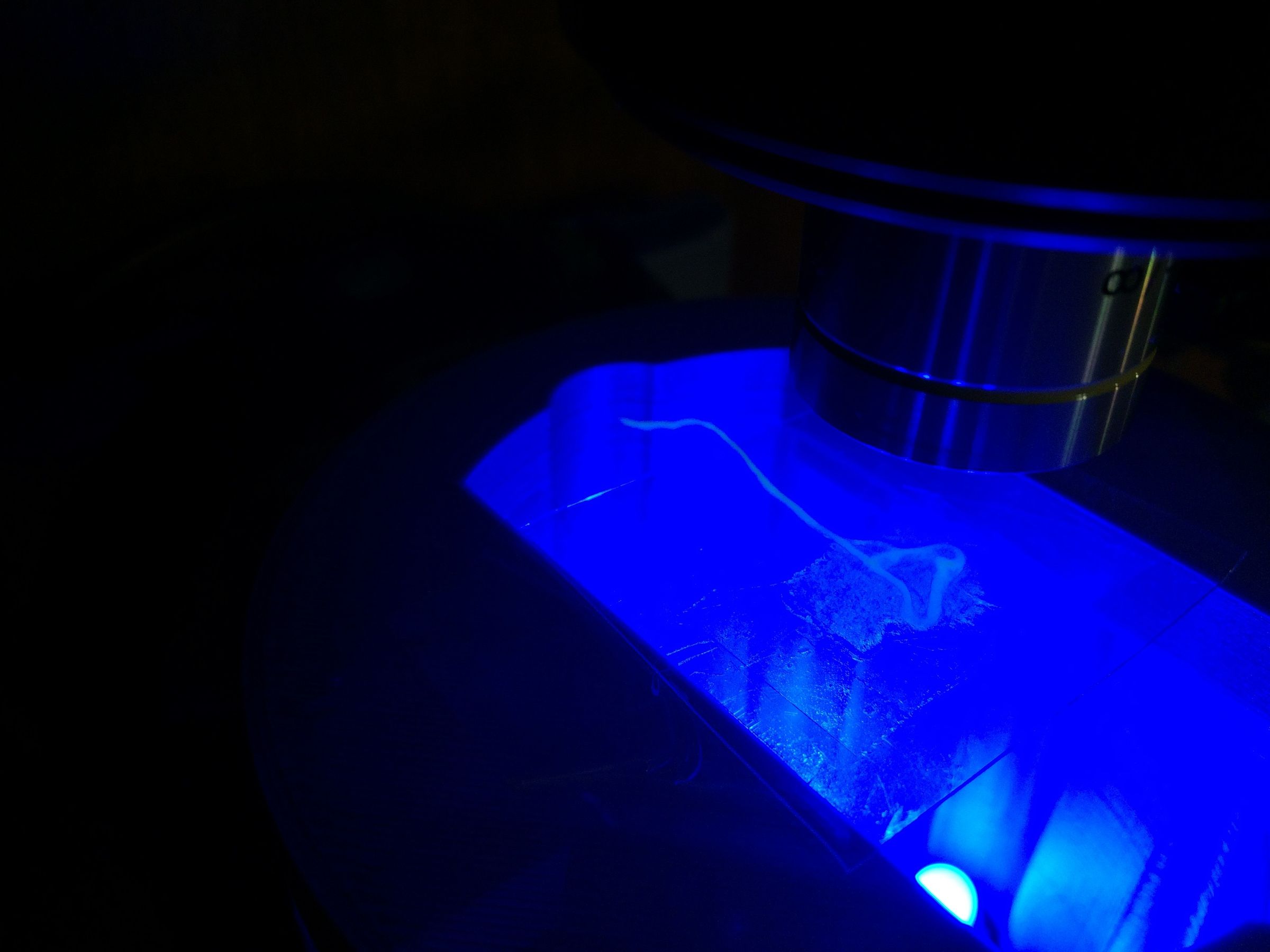 Low-cost Fluorescence and Brightfield Microscopes : 9 Steps (with ...