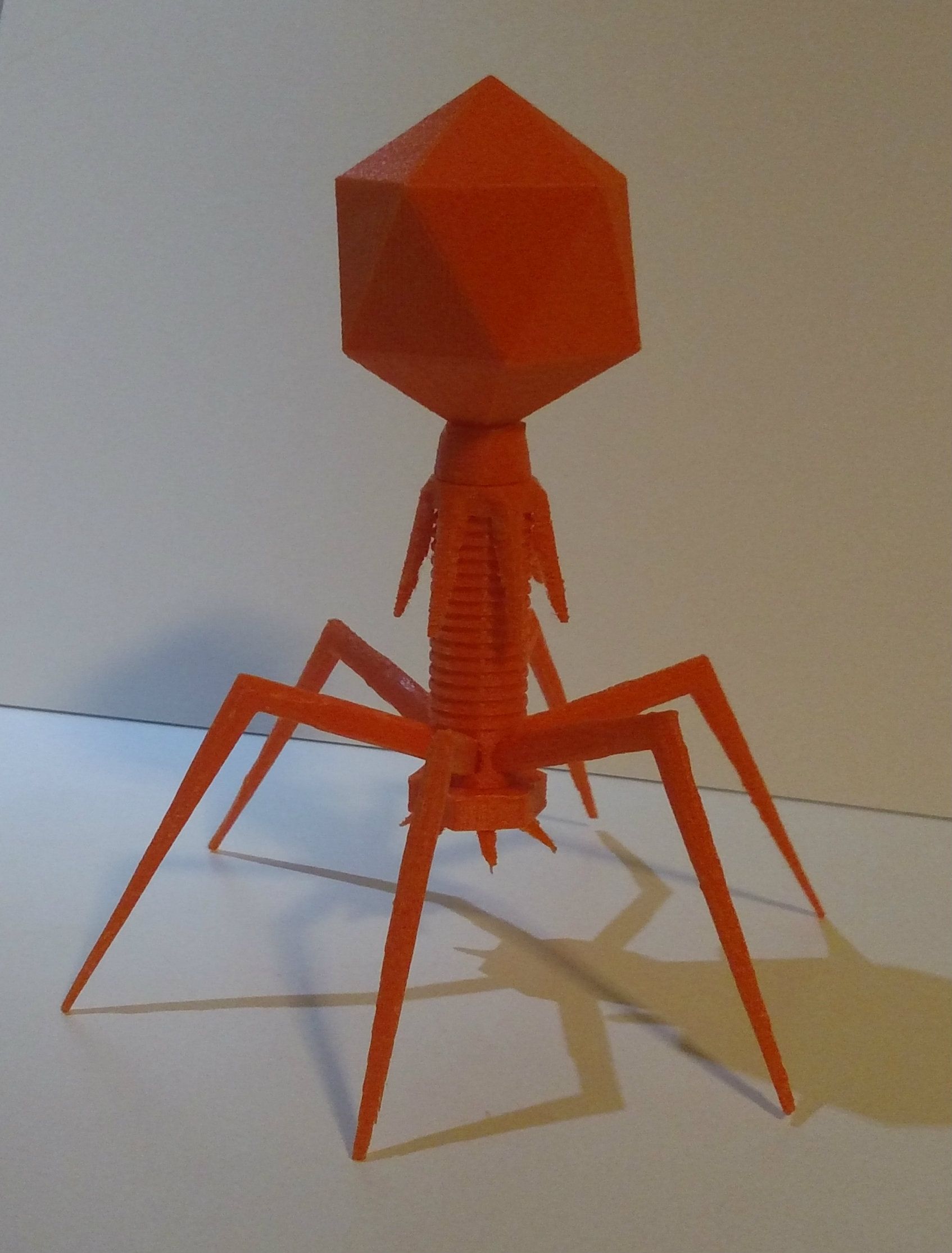 How To Make A Virus Model