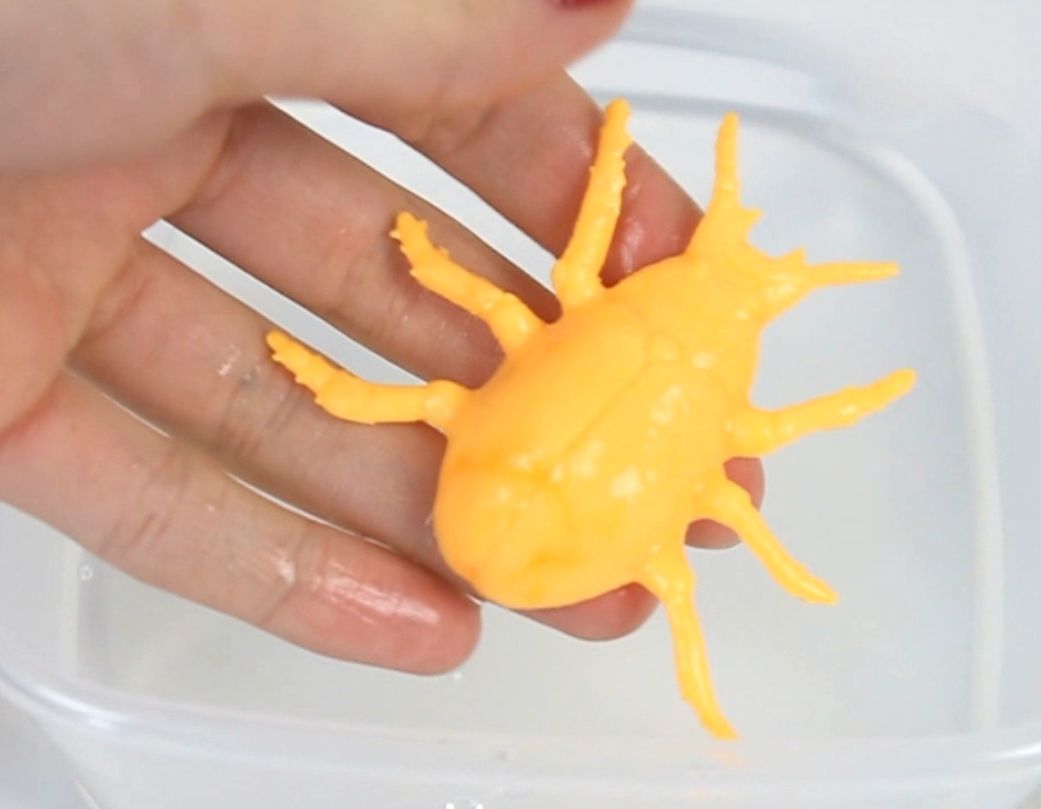Amazing Diy Experiment | Growing Creatures : 5 Steps - Instructables