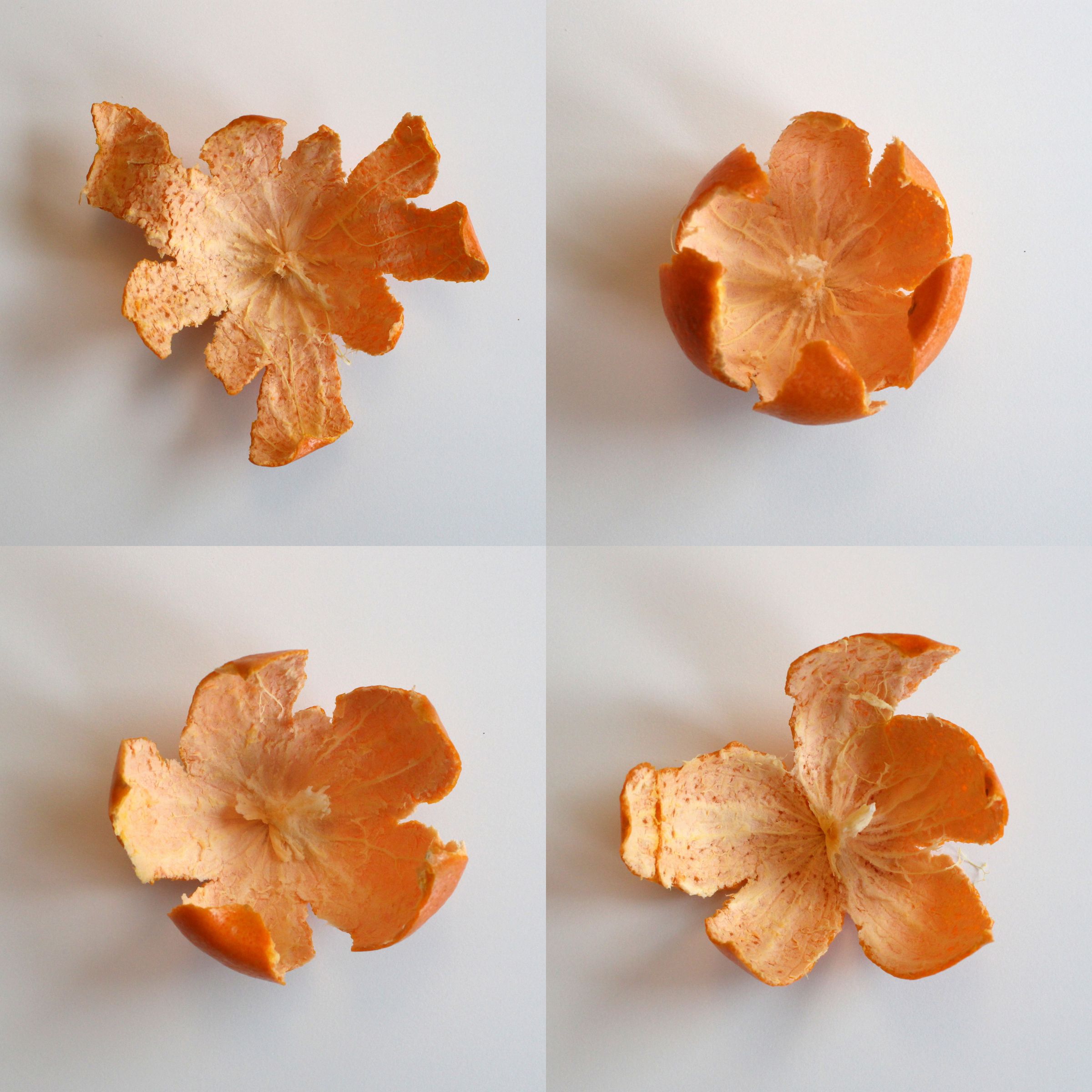 The Art of Peeling a Tangerine : 3 Steps (with Pictures) - Instructables