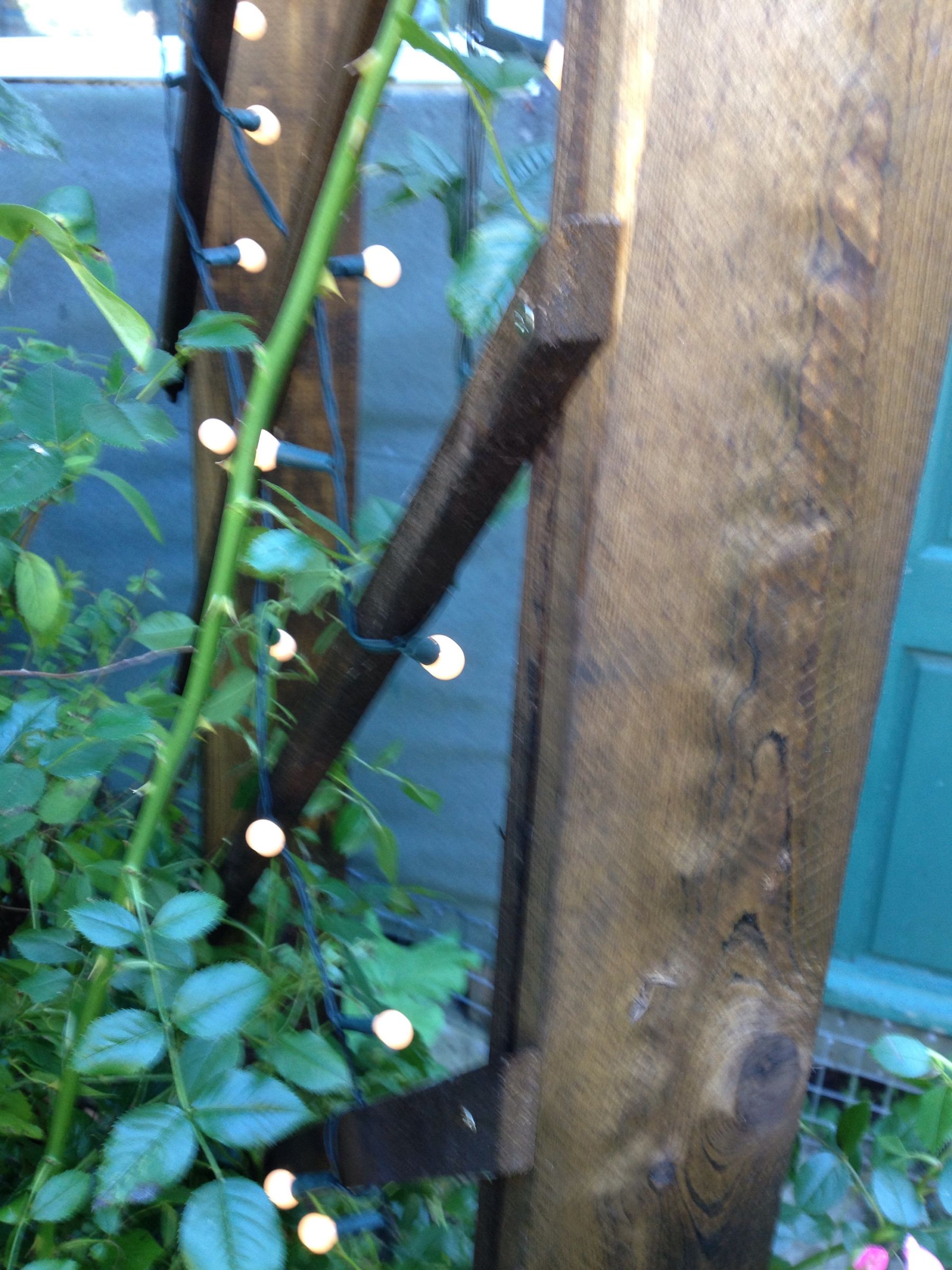 L.E.D. Pallet Wood Garden Arch for Climbing Plants : 6 Steps (with ...