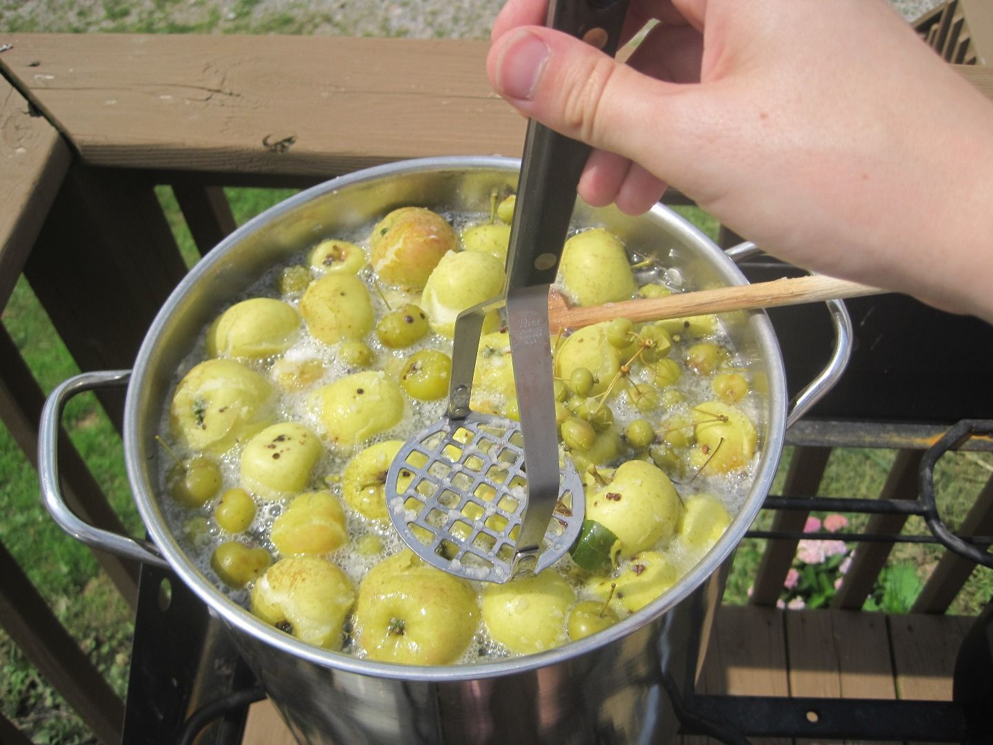 Homemade Pectin : 6 Steps (with Pictures) - Instructables