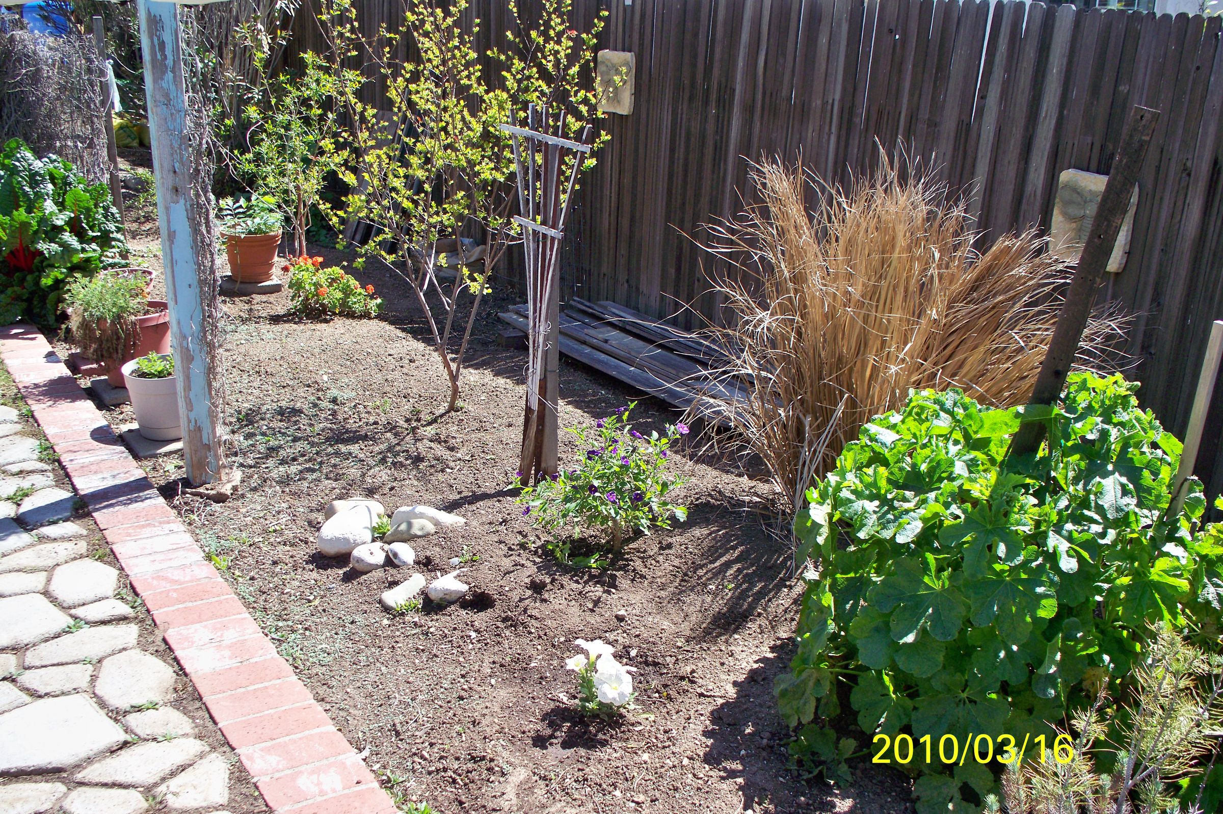 Make a Mature Clump of Grass in Less Than an Hour : 5 Steps - Instructables