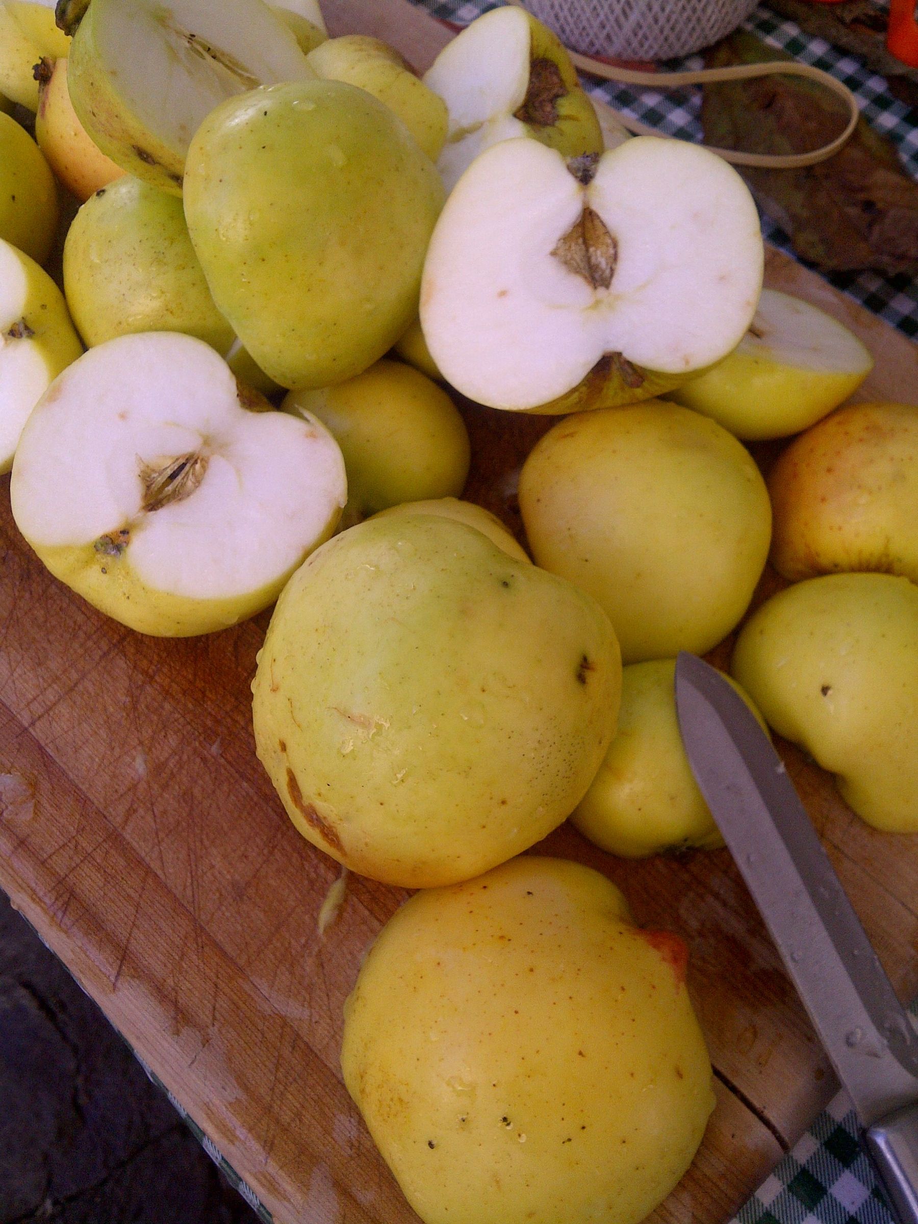 Apple Cider Press With Grinder : 9 Steps (with Pictures) - Instructables