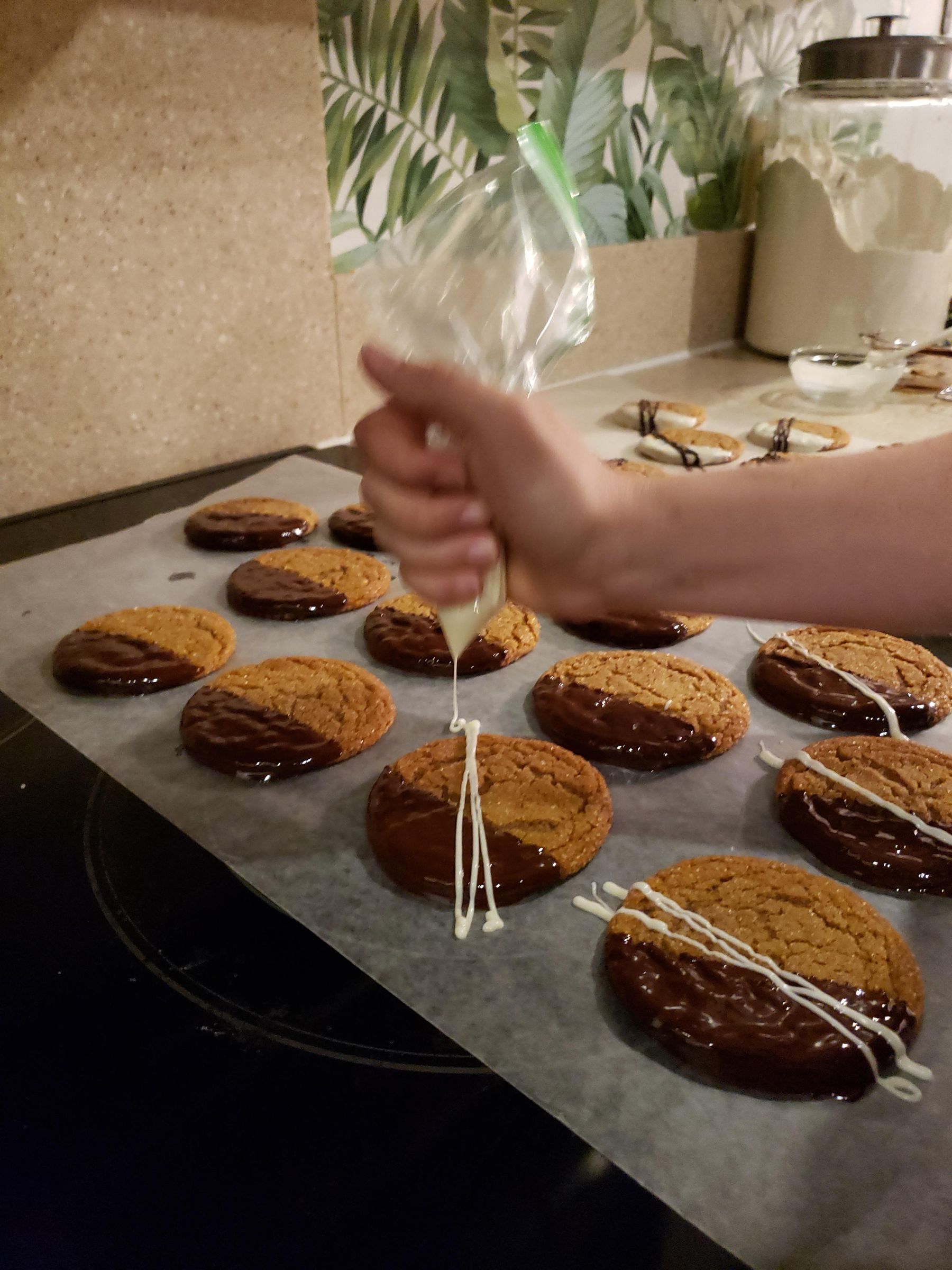 Chocolate Dipped Gingersnaps : 6 Steps (with Pictures) - Instructables