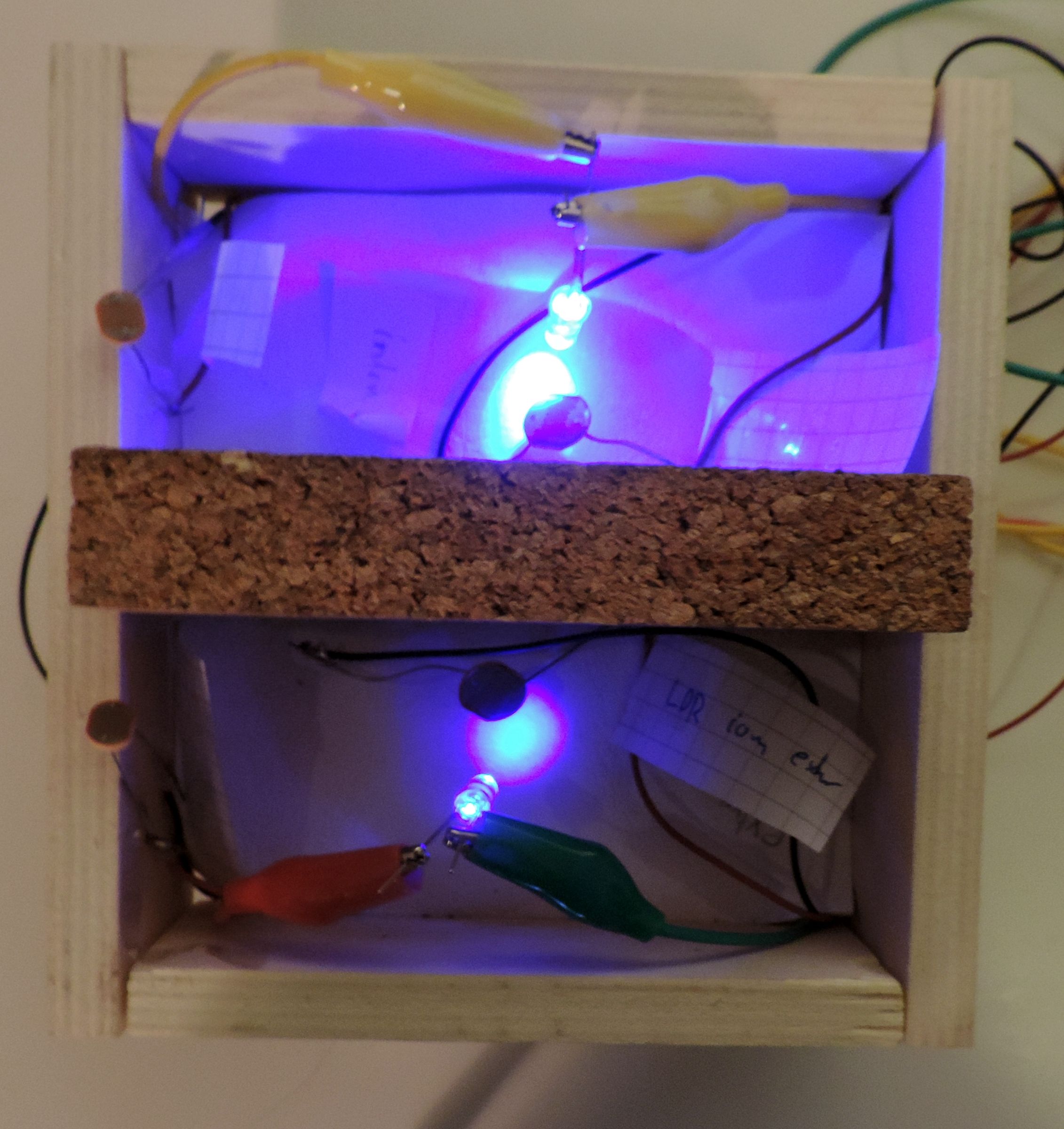 Play With Glowing Neurons? a Novel Framework for Interactive Neuron ...