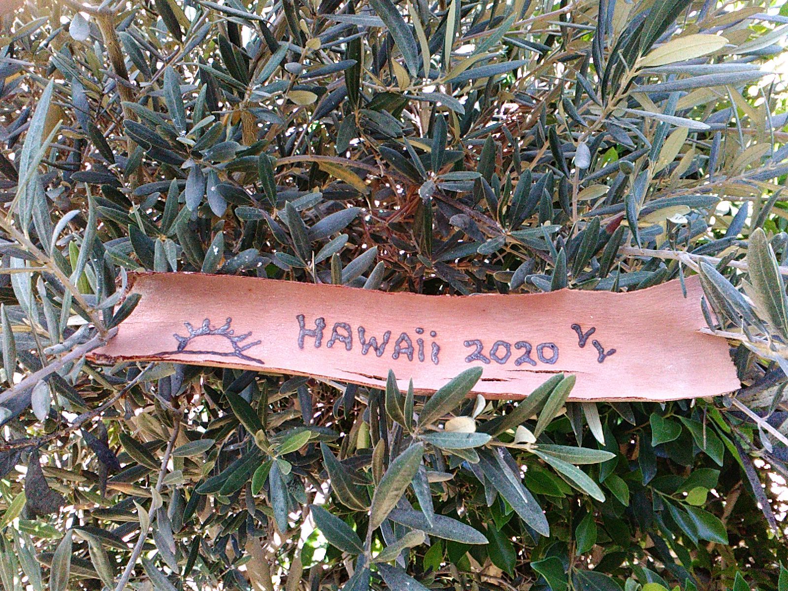 Solar Pyrography Garden Quotes - Instructables