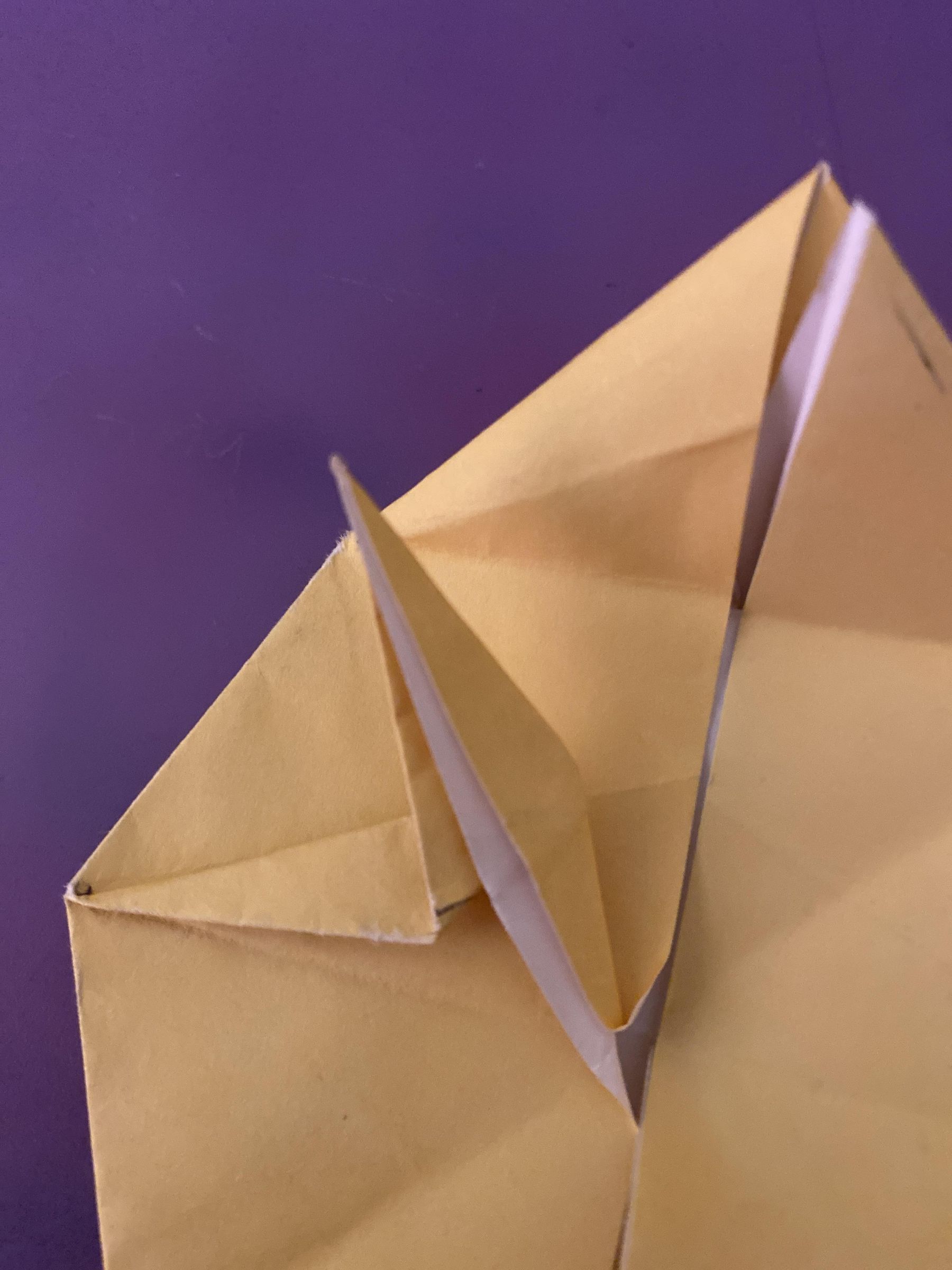 Origami Rat : 27 Steps - Instructables