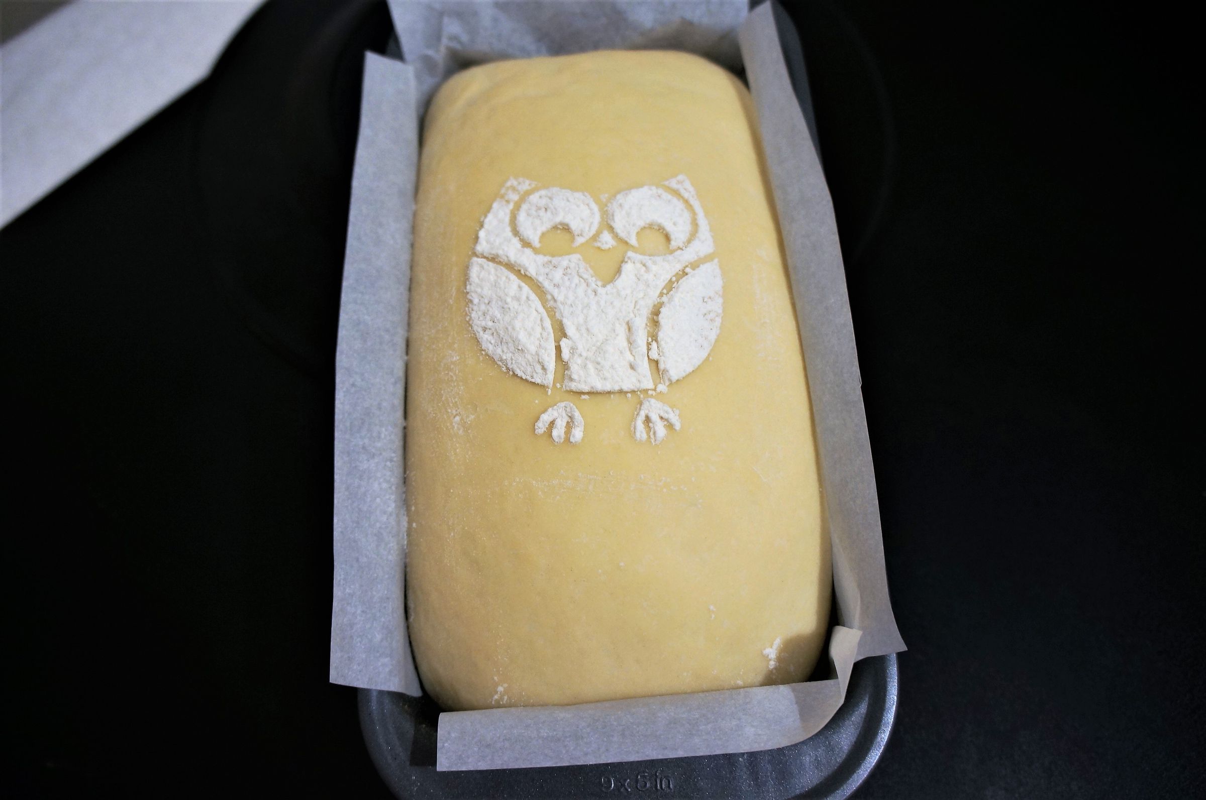 Score Shape Color and Stencil Bread for Bread Lovers : 13 Steps (with ...