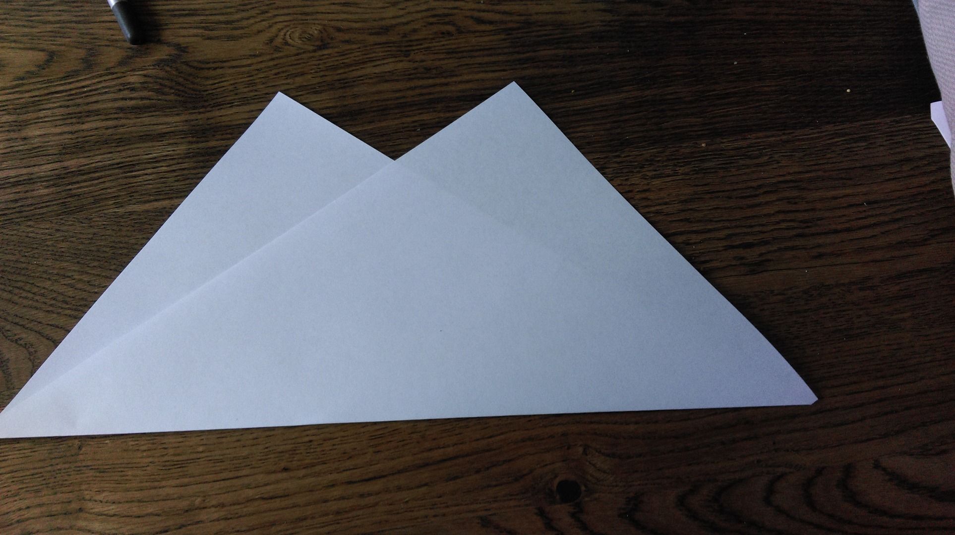 Ring Wing Paper Plane : 3 Steps - Instructables