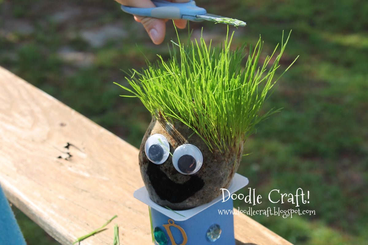 Haircut Chia Pet Grass Heads! Great for Summer Break! : 5 Steps (with ...
