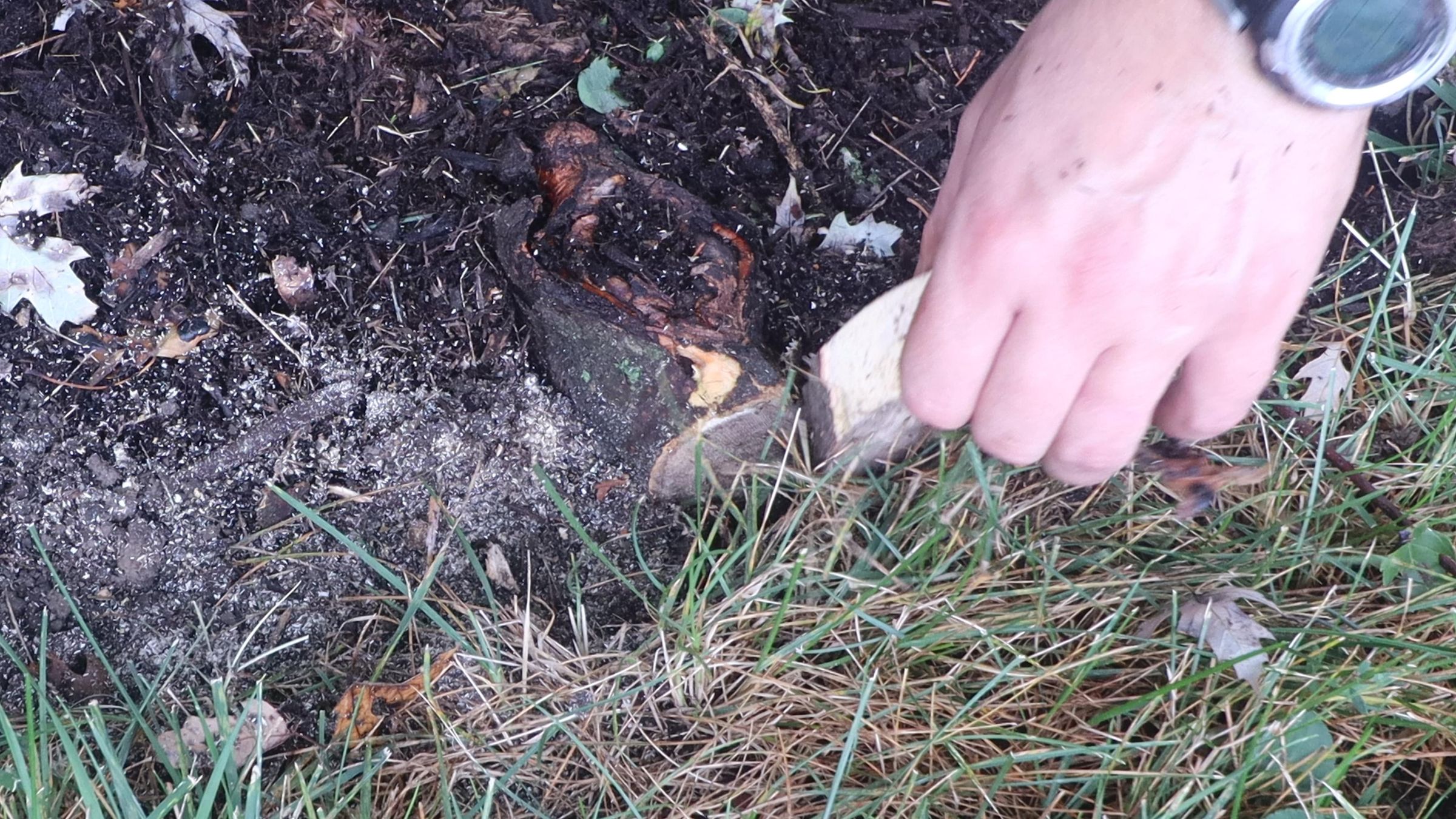 DIY Hammer-In Steel Garden Edging : 8 Steps (with Pictures) - Instructables