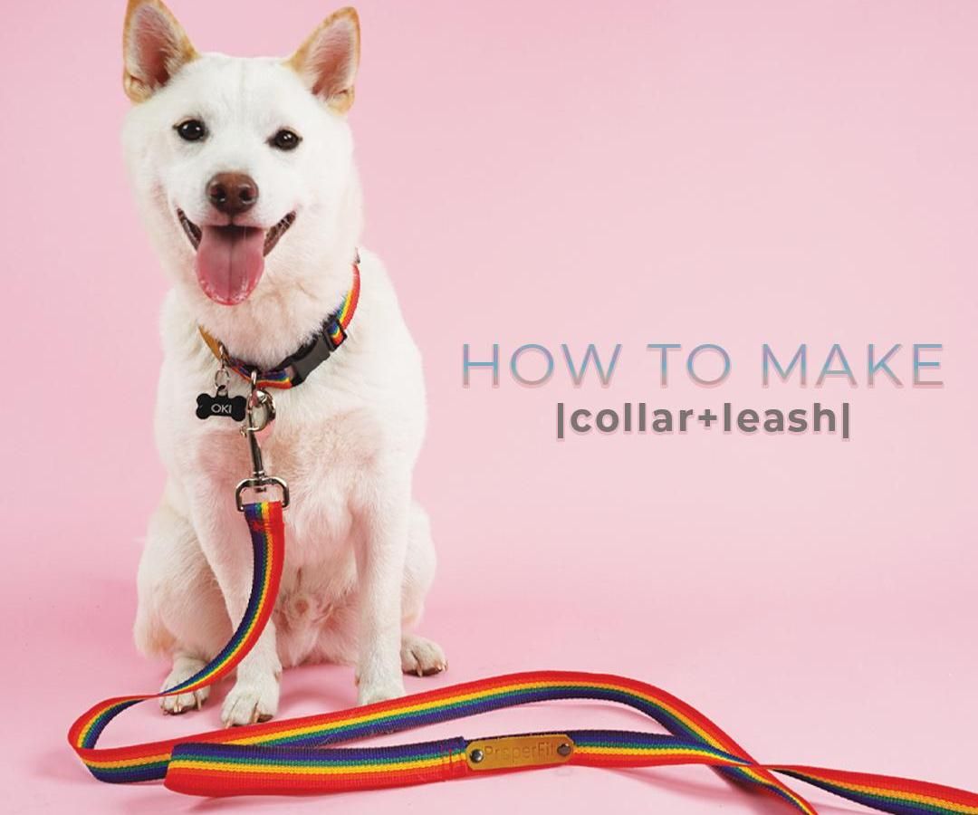 Collar + Leash : 19 Steps (with Pictures) - Instructables