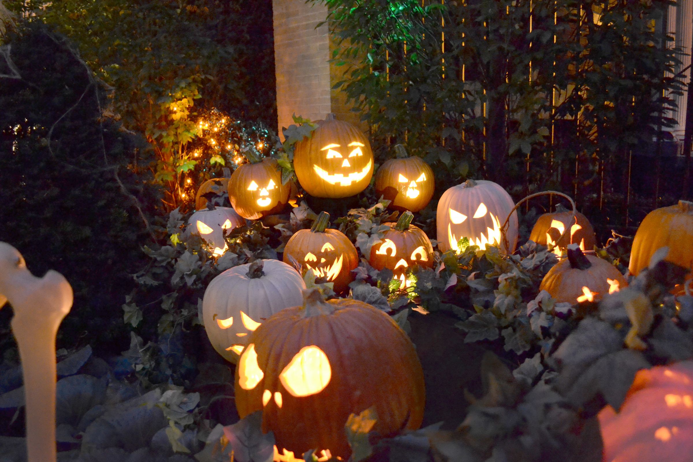 Singing Pumpkins Illusion DIY Guide : 7 Steps (with Pictures ...