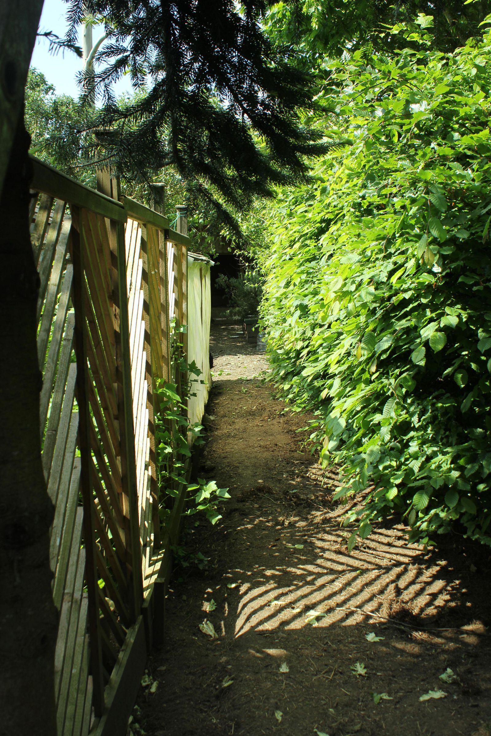 Greenhouse Extension - Making a Safe Living, Nesting & Brooding Area ...