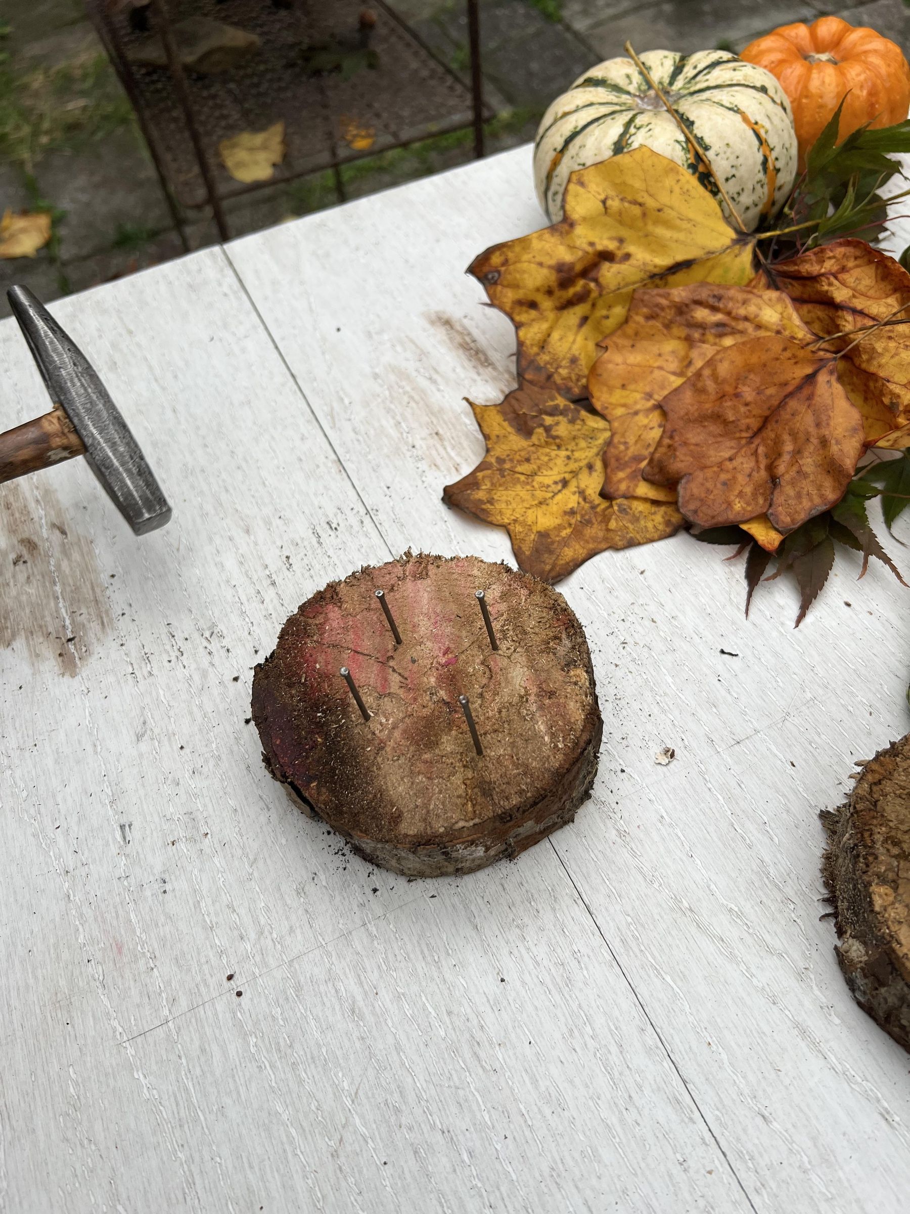 Make Festive Gourd Trees : 12 Steps (with Pictures) - Instructables