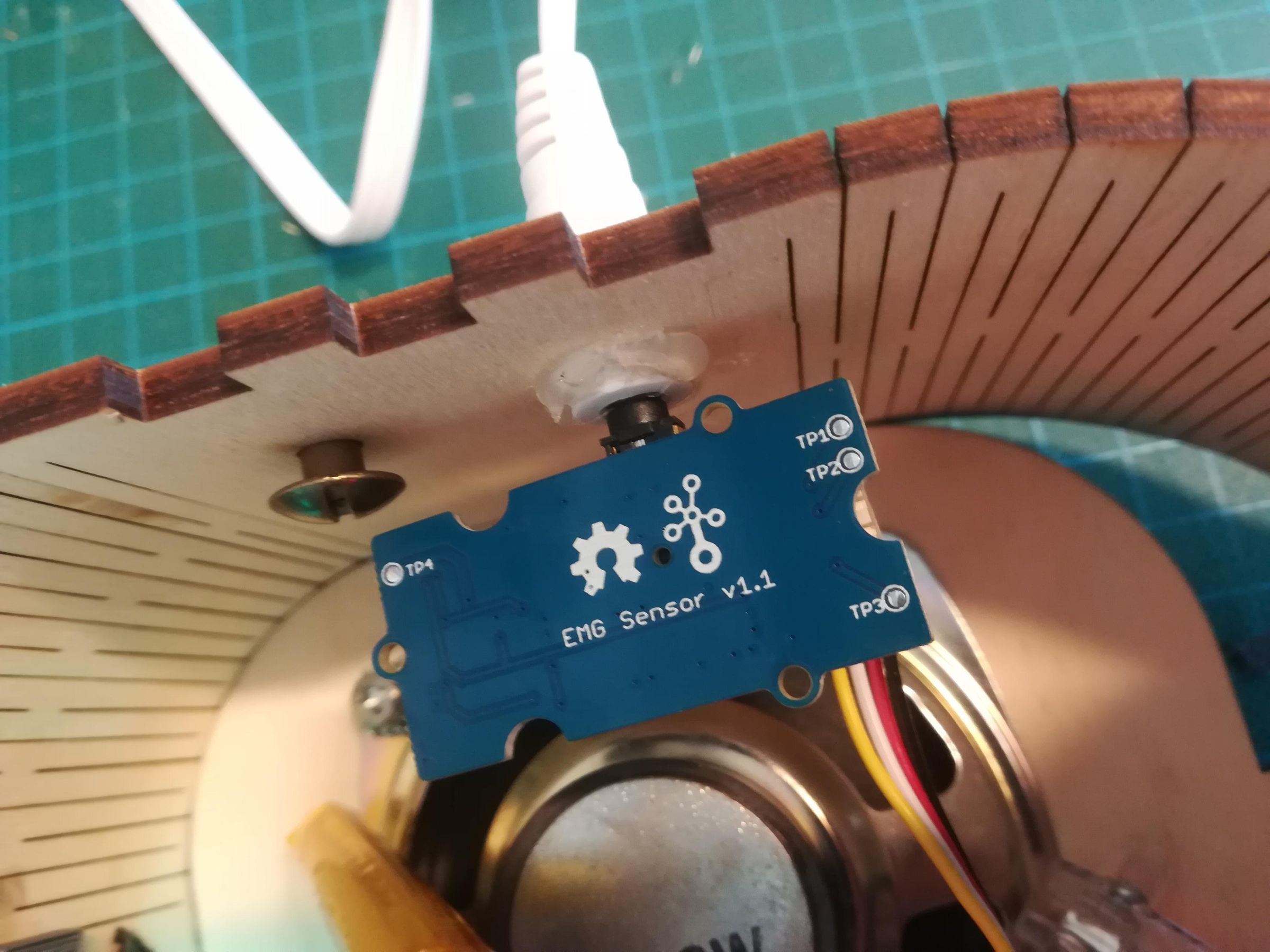 Plant-radio : 9 Steps (with Pictures) - Instructables