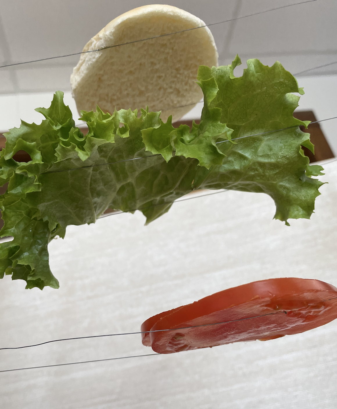 How to Make Food Float! : 7 Steps (with Pictures) - Instructables