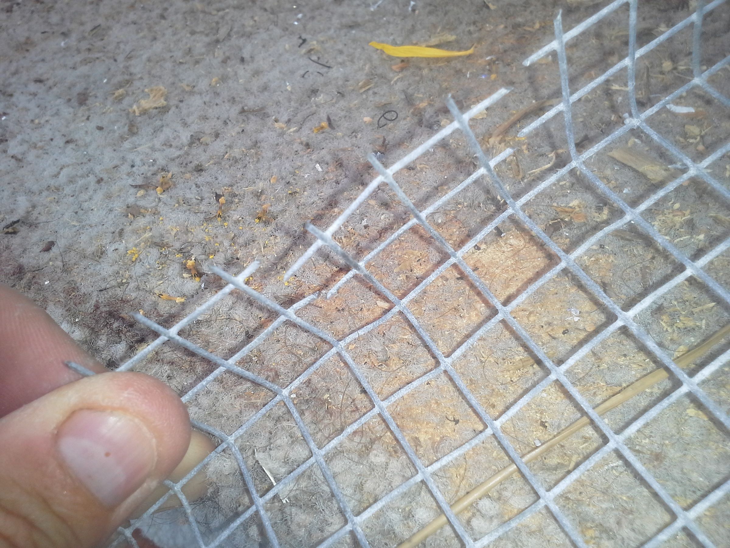 Suet Cage From Scrap Mesh and Wire. : 8 Steps - Instructables