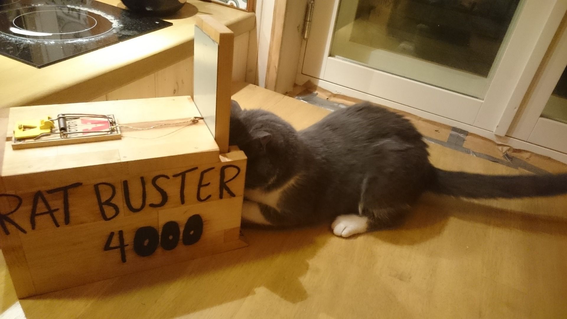 RATBUSTER 4000 : 5 Steps (with Pictures) - Instructables